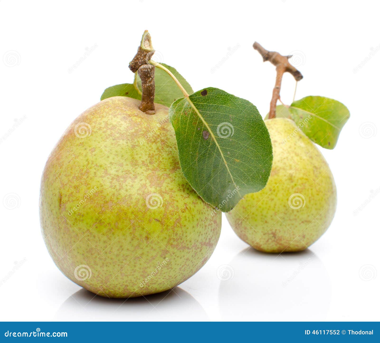 Pears with leaves stock photo. Image of juicy, pears - 46117552