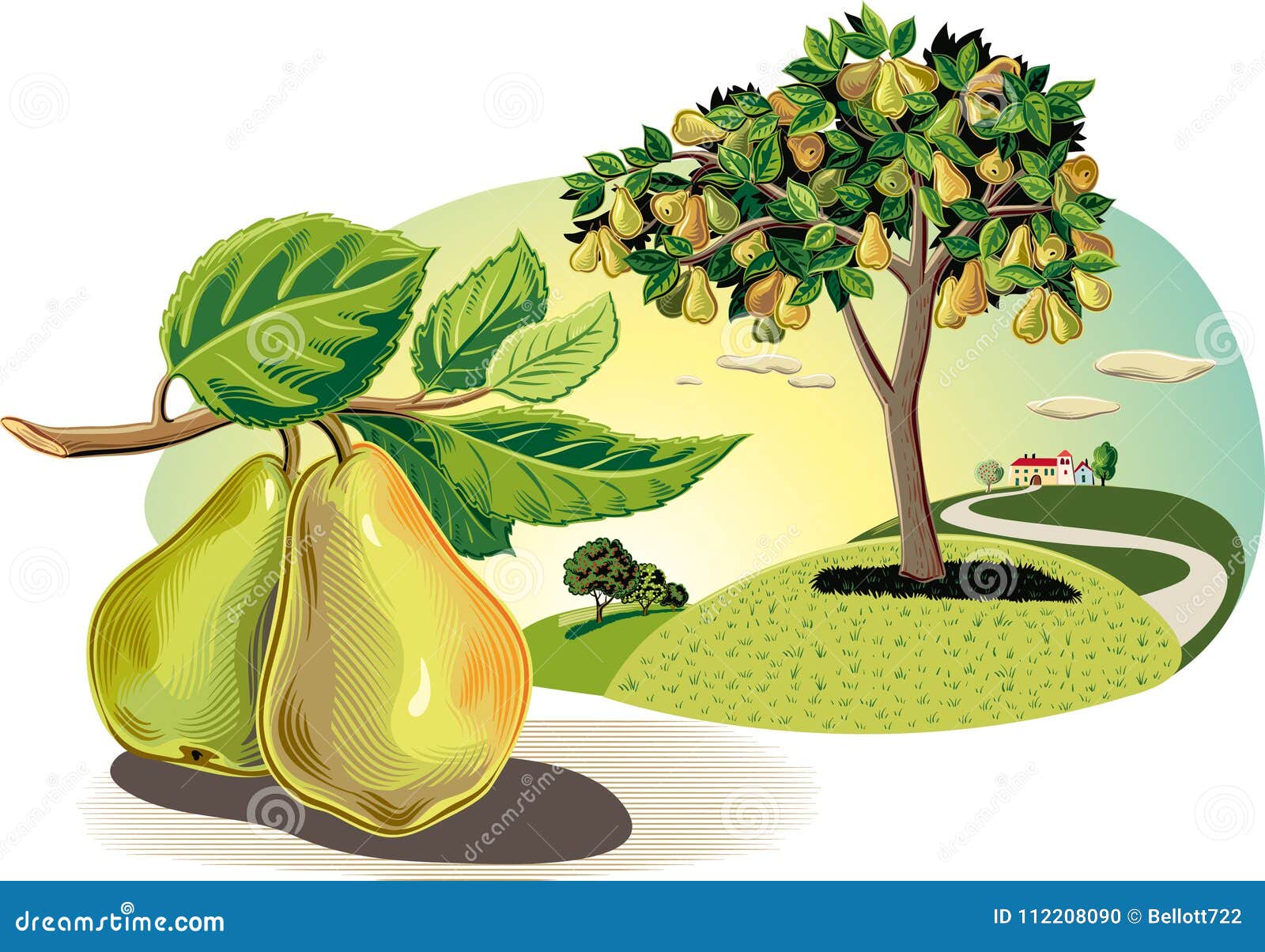 Pears Orchard Stock Illustrations – 200 Pears Orchard Stock ...