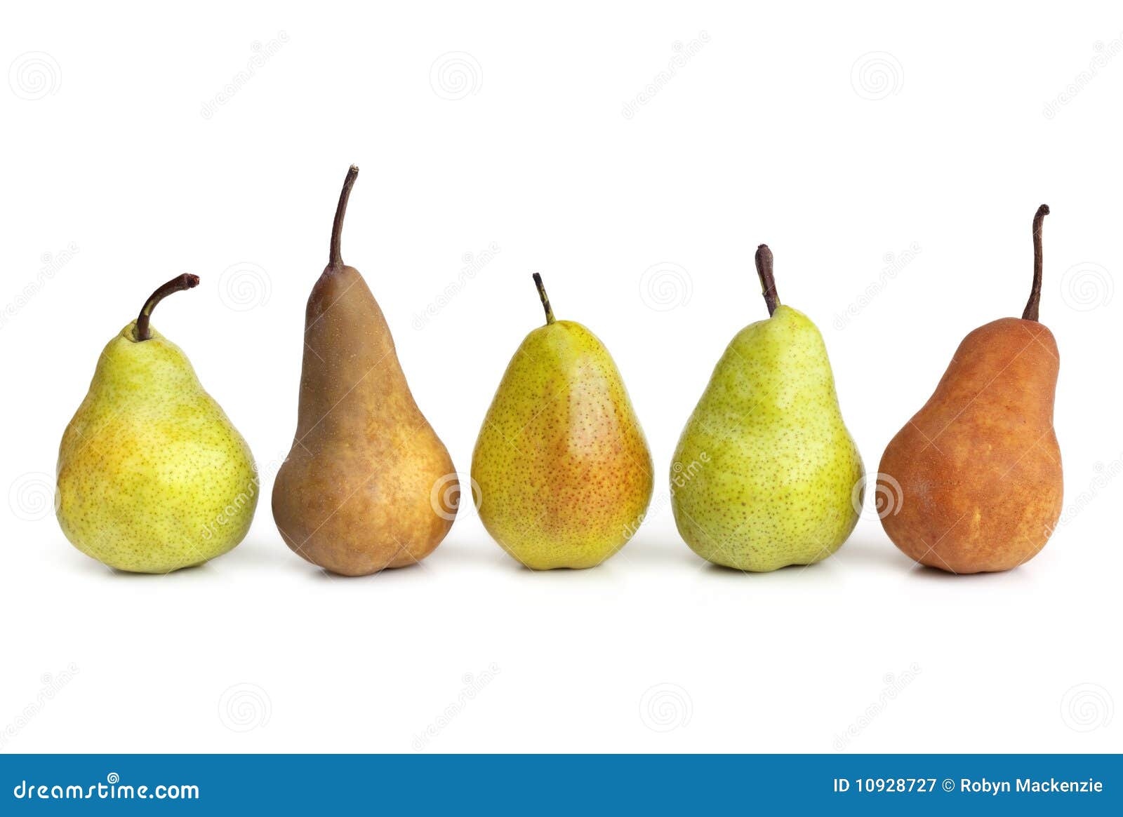 Pears in a Row stock image. Image of colour, bosc, objects - 10928727