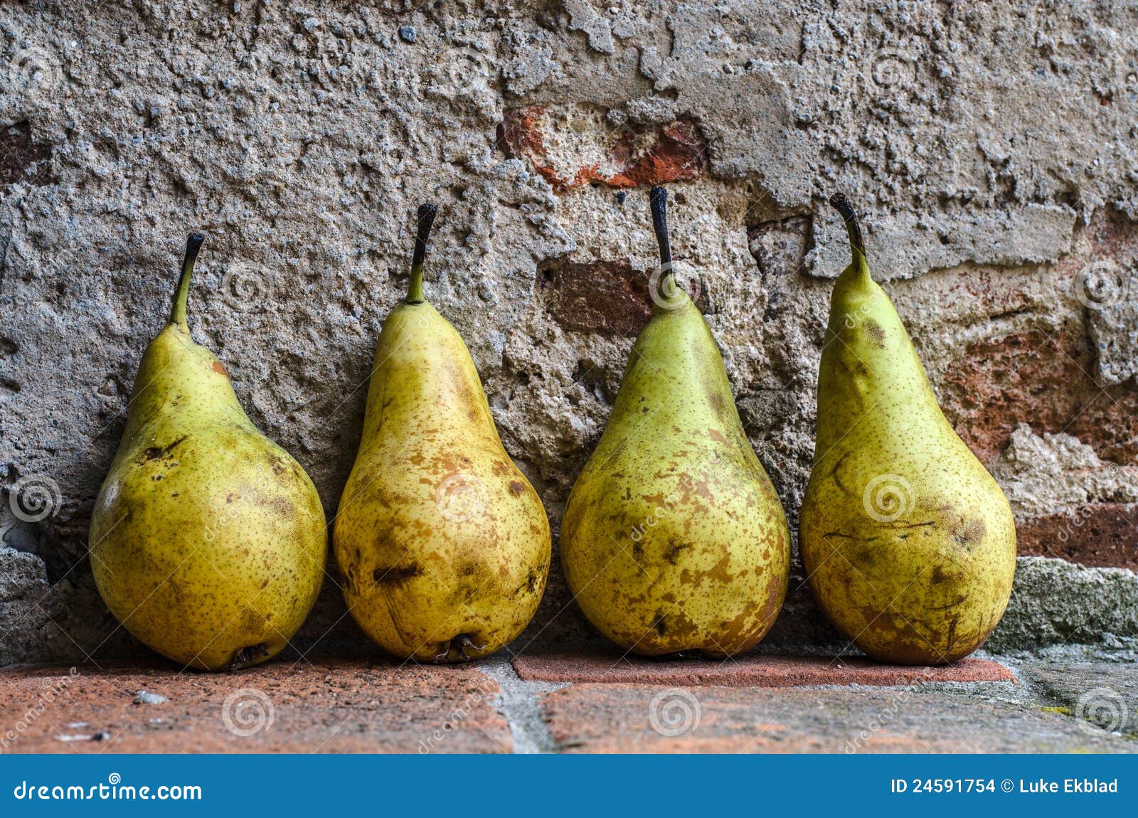 Pears in a row stock photo. Image of nice, tuscany, pears - 24591754