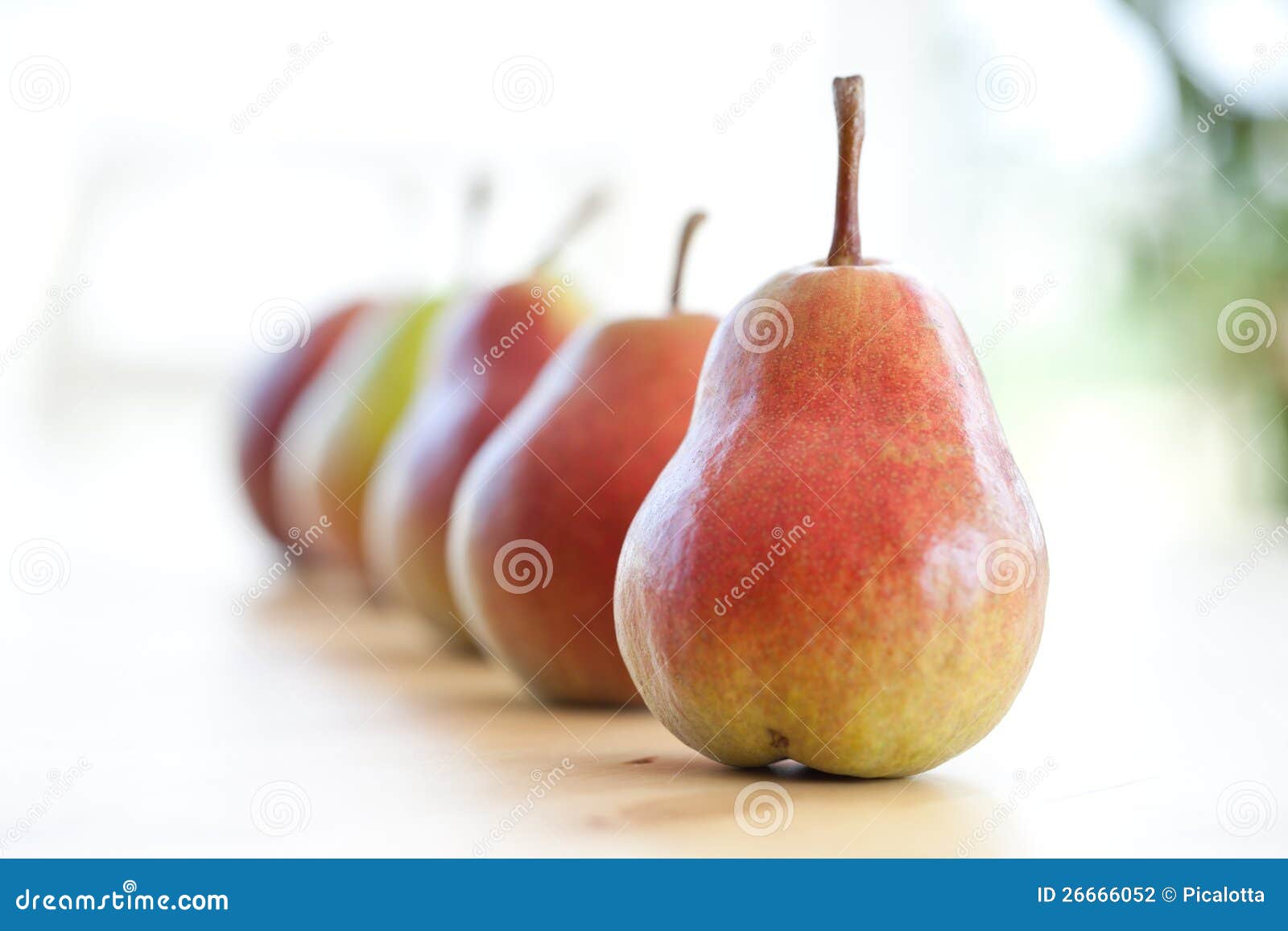 Pears in a row stock photo. Image of ripe, fruit, pears - 26666052