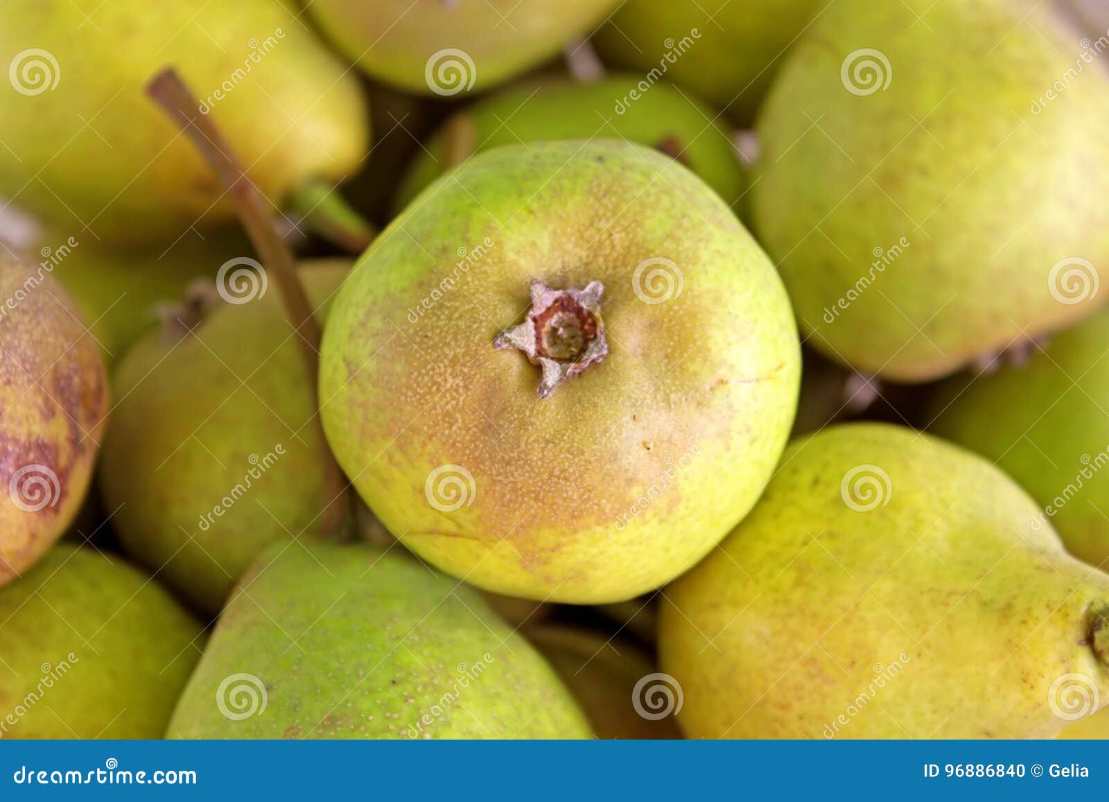Pears texture background stock photo. Image of health - 96886840