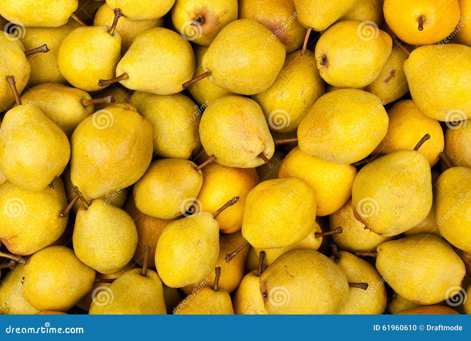 Pears stock photo. Image of nutrition, diet, summer, delicious - 61960610