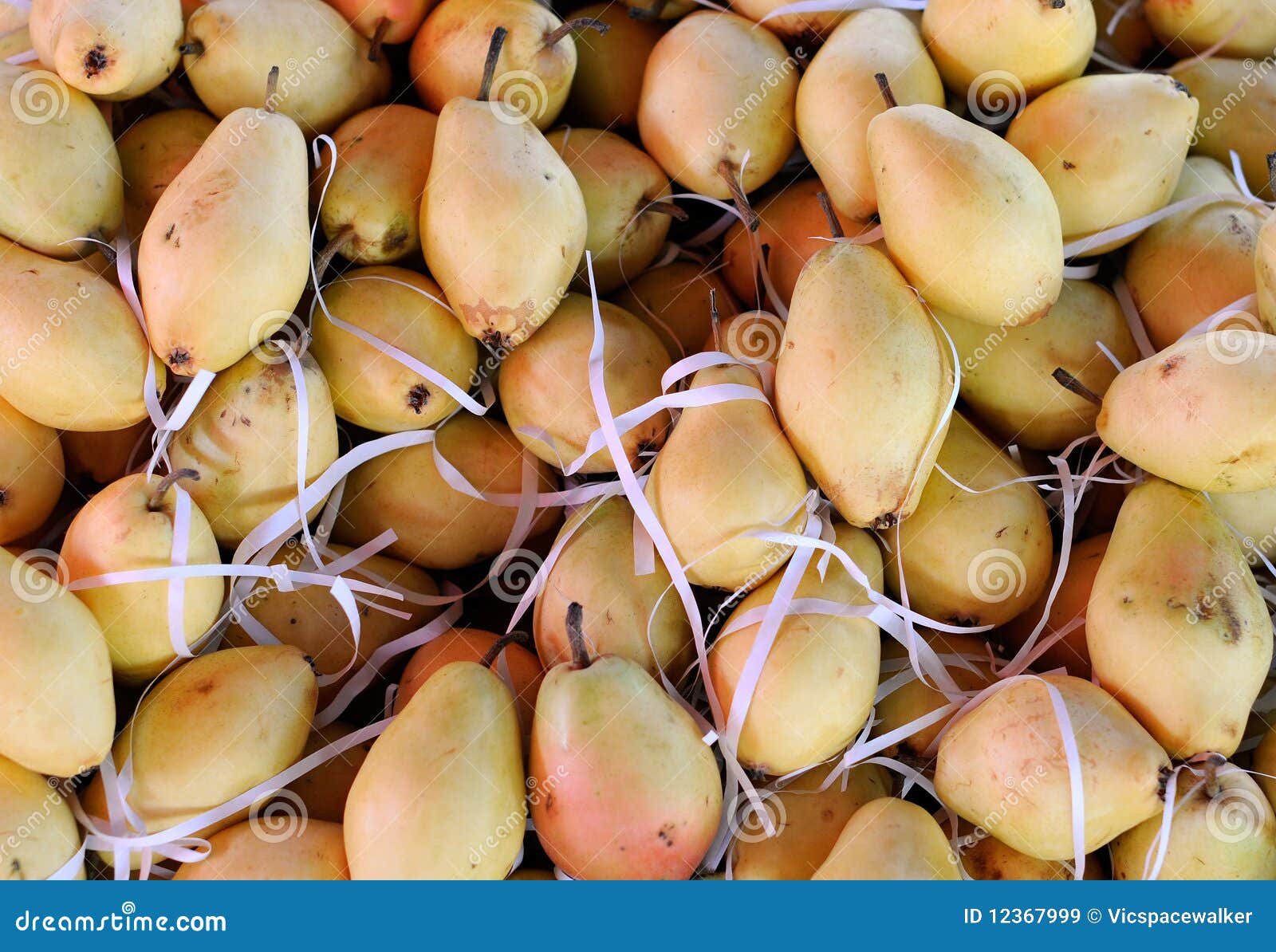 Pears in Transportation Container Stock Image - Image of product ...