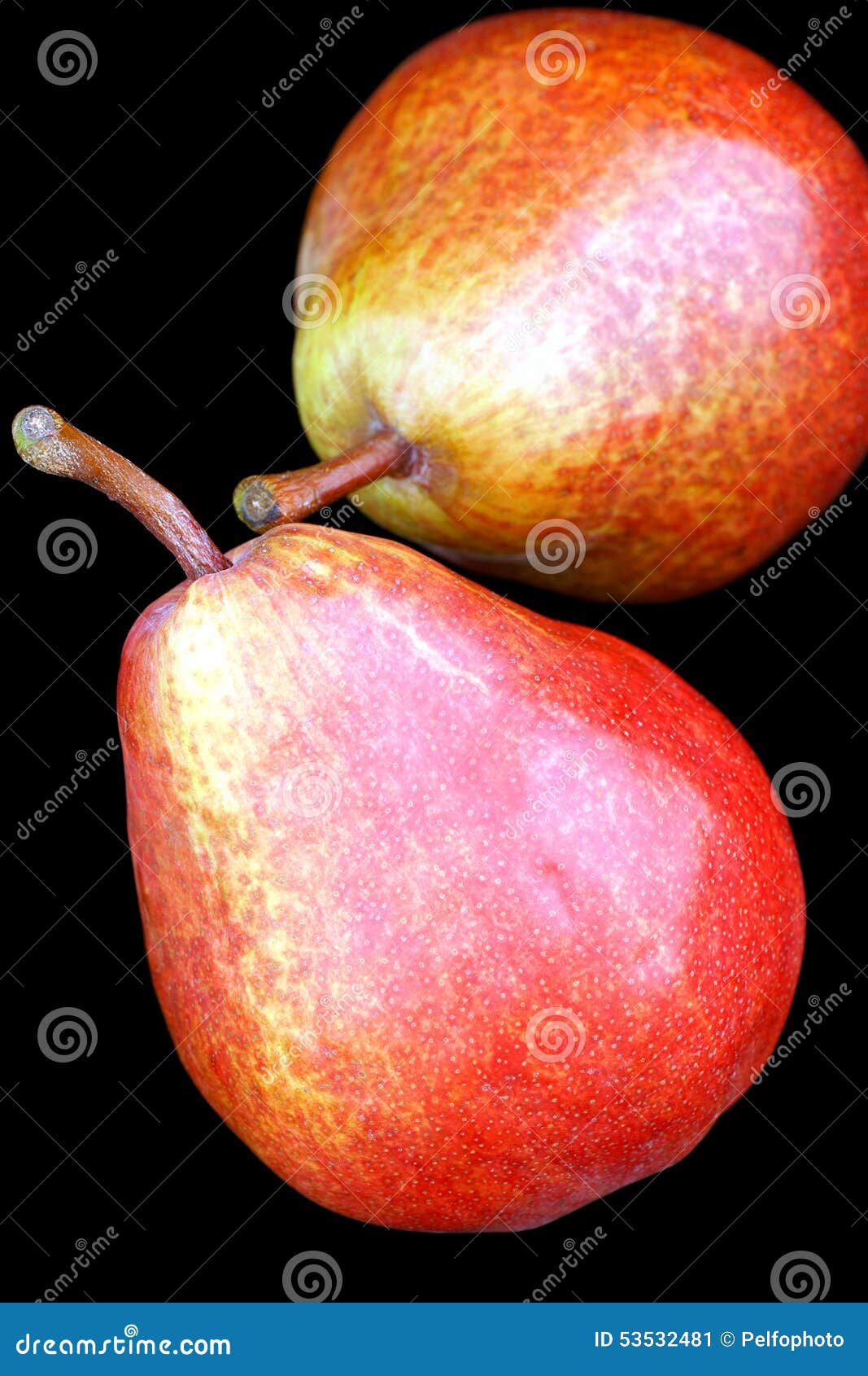 Pears. stock image. Image of eating, life, fresh, macro - 53532481