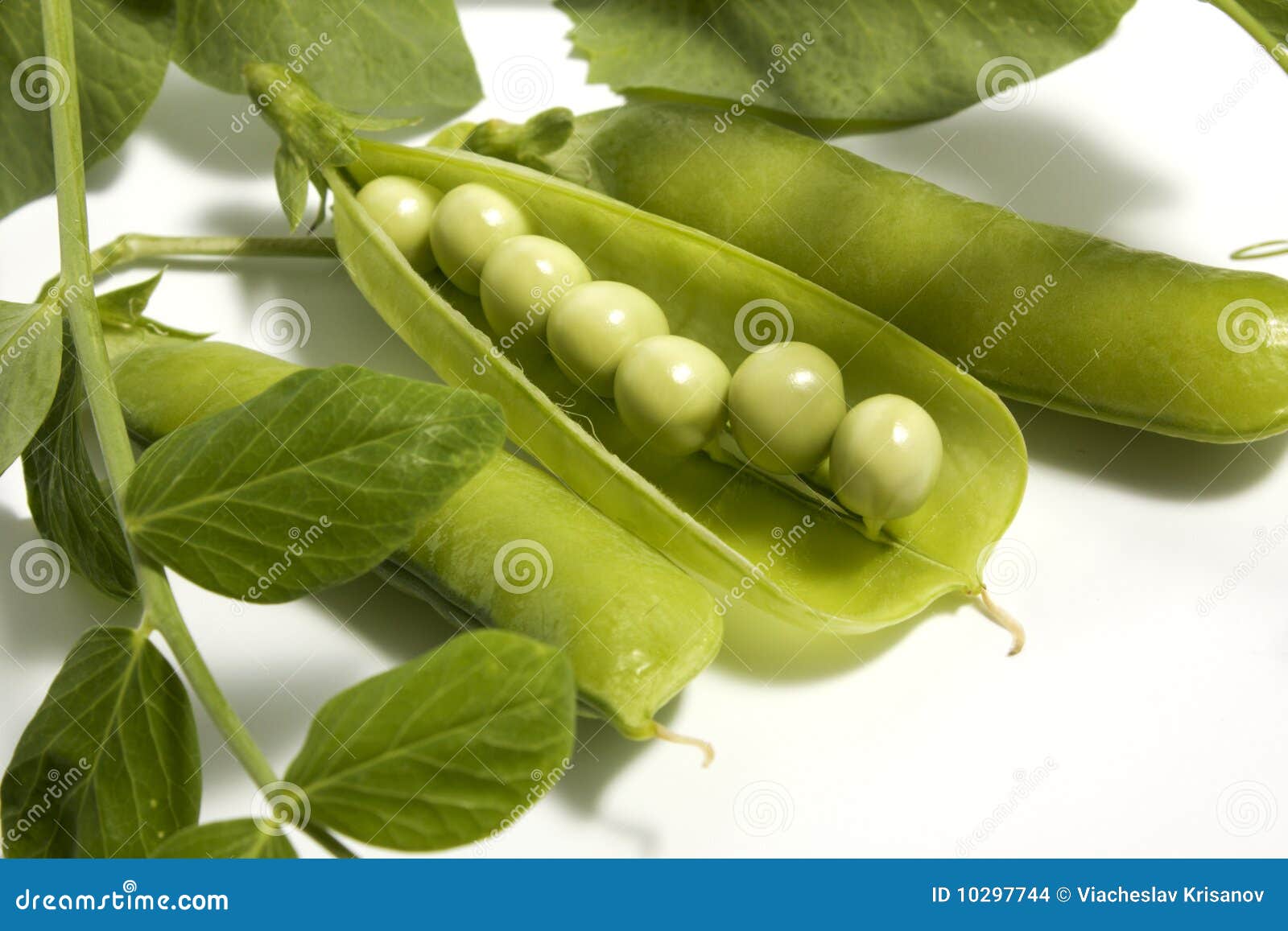 2,680 Peas Branch Stock Photos - Free & Royalty-Free Stock Photos from ...