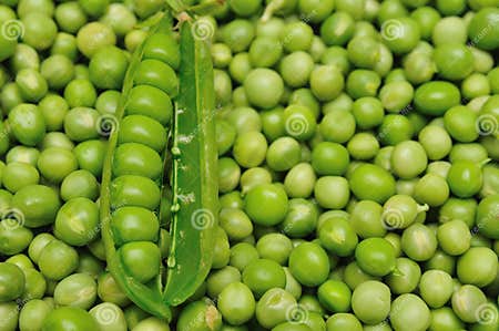 Peas stock image. Image of farming, dieting, eating, detail - 10665357