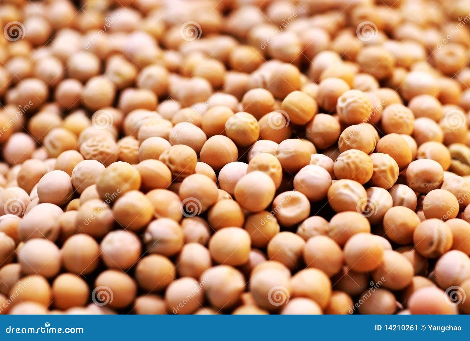 Peas stock image. Image of ingredient, leguminosae, crop - 14210261