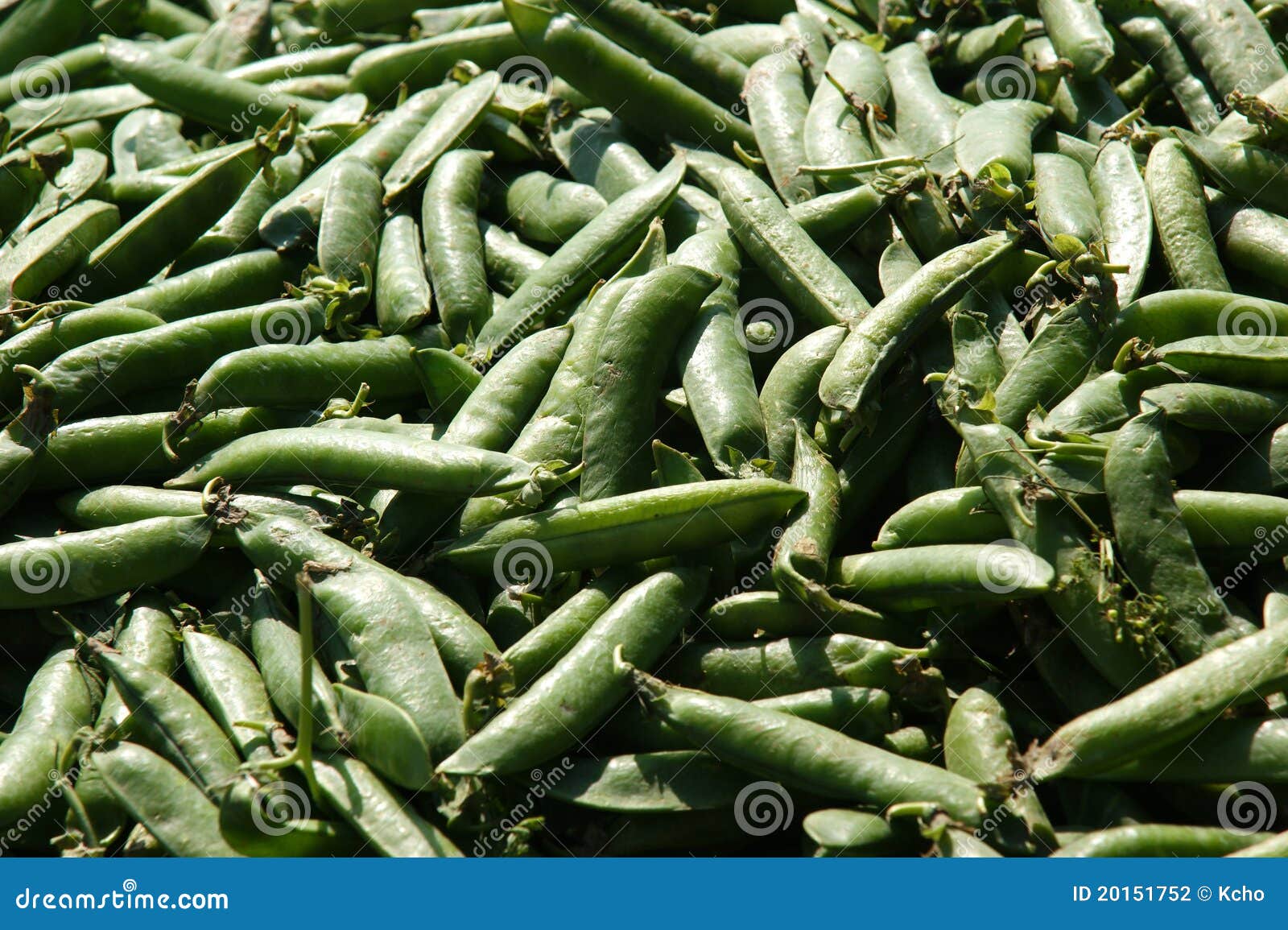 Peas Bio stock photo. Image of gourmet, backdrop, close - 20151752
