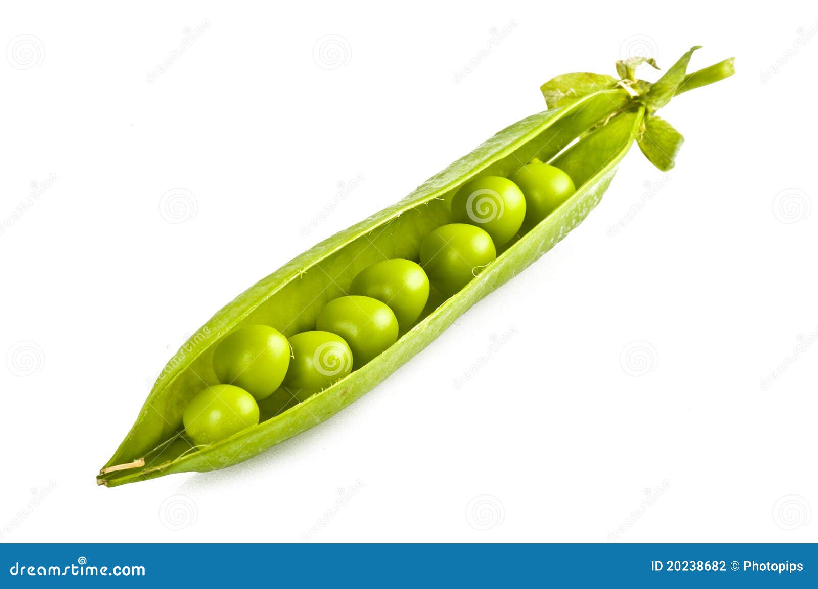 Peas stock photo. Image of background, food, isolated - 20238682