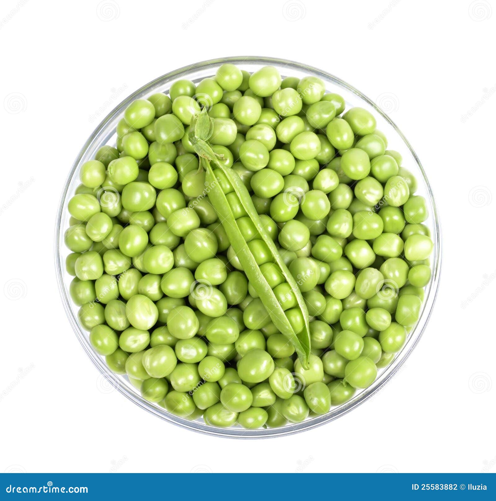 Peas stock photo. Image of closeup, grain, macro, background - 25583882