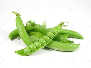 Peas stock photo. Image of close, farm, green, food, fresh - 324450