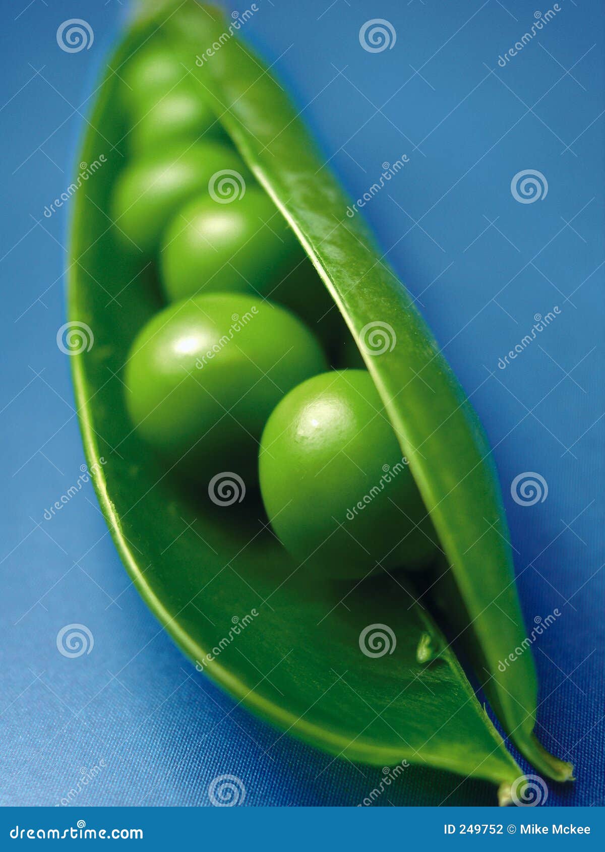 Peas 7 stock photo. Image of nutritious, fresh, blue, food - 249752