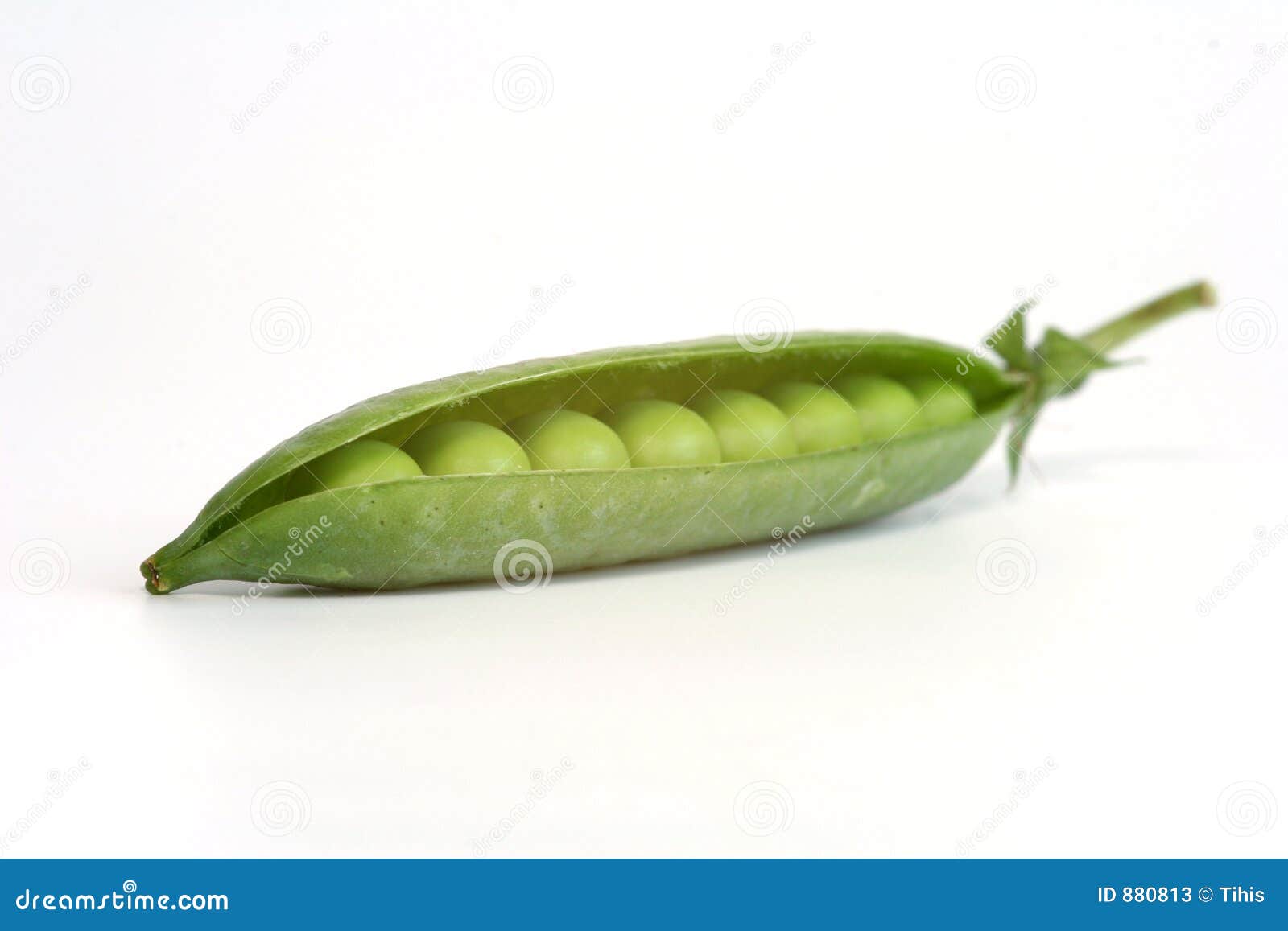 Peas stock image. Image of close, peapod, fresh, detail - 880813