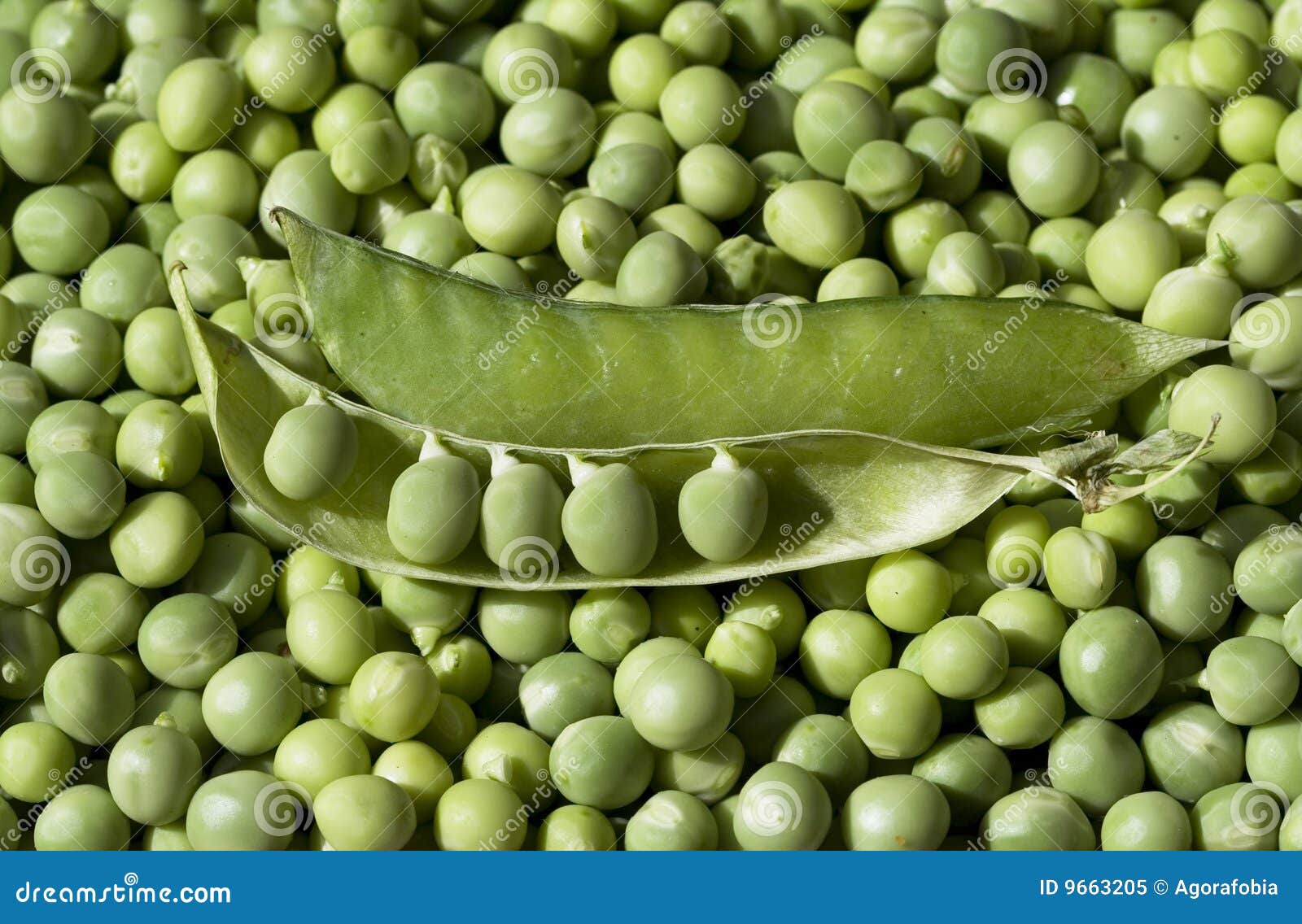 Peas background stock image. Image of market, beans, vegetarian - 9663205
