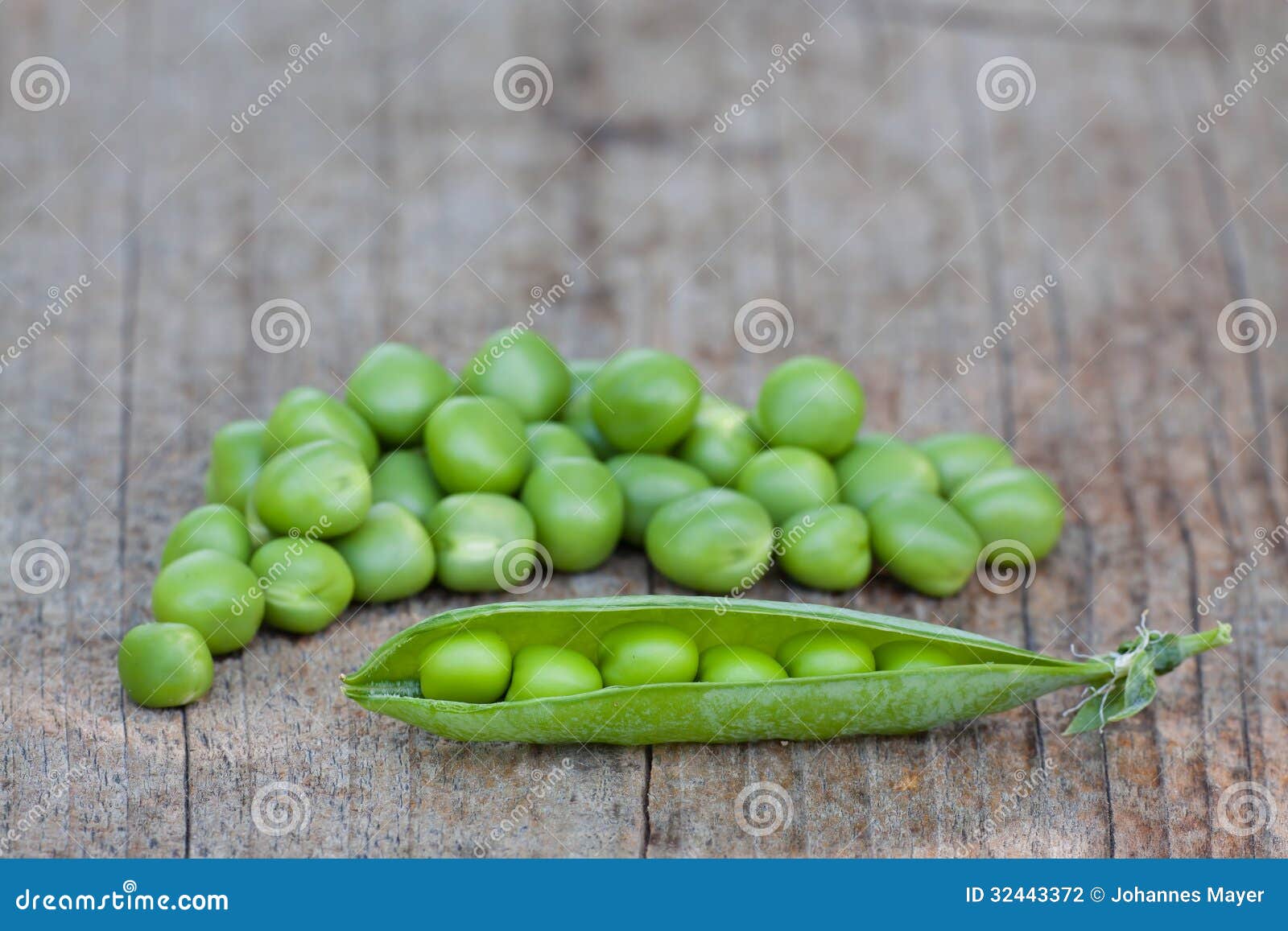 Peas stock photo. Image of leucine, garden, amino, gardener - 32443372