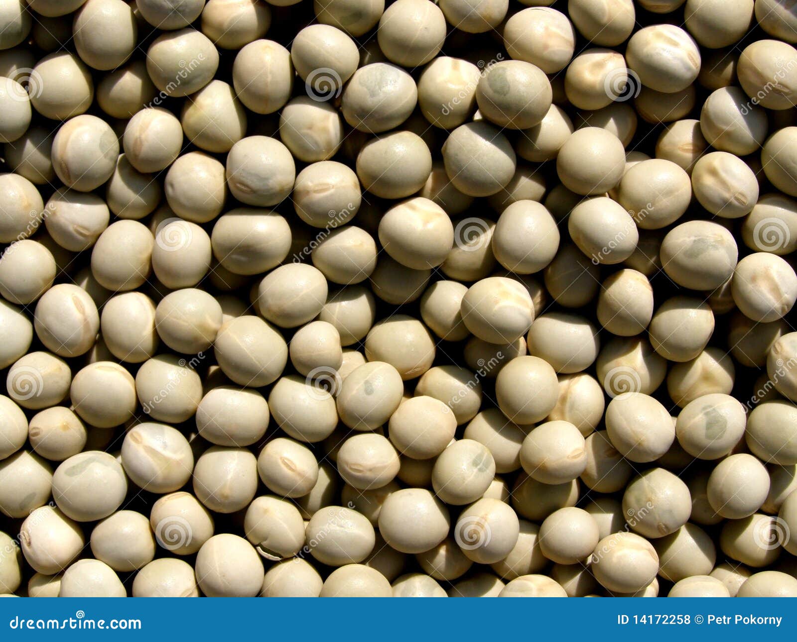 Peas detail texture stock photo. Image of cool, decorative - 14172258