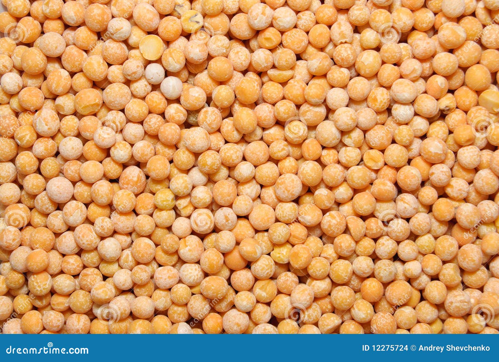 Peas grains stock photo. Image of purified, plant, grain - 12275724