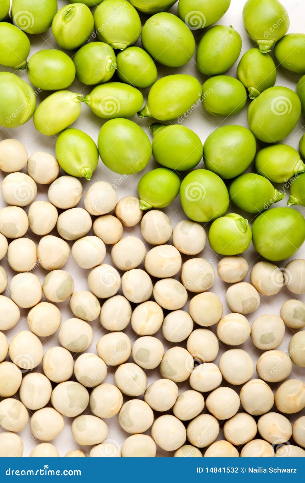 Peas isolated on White stock photo. Image of stem, ripe - 14841532