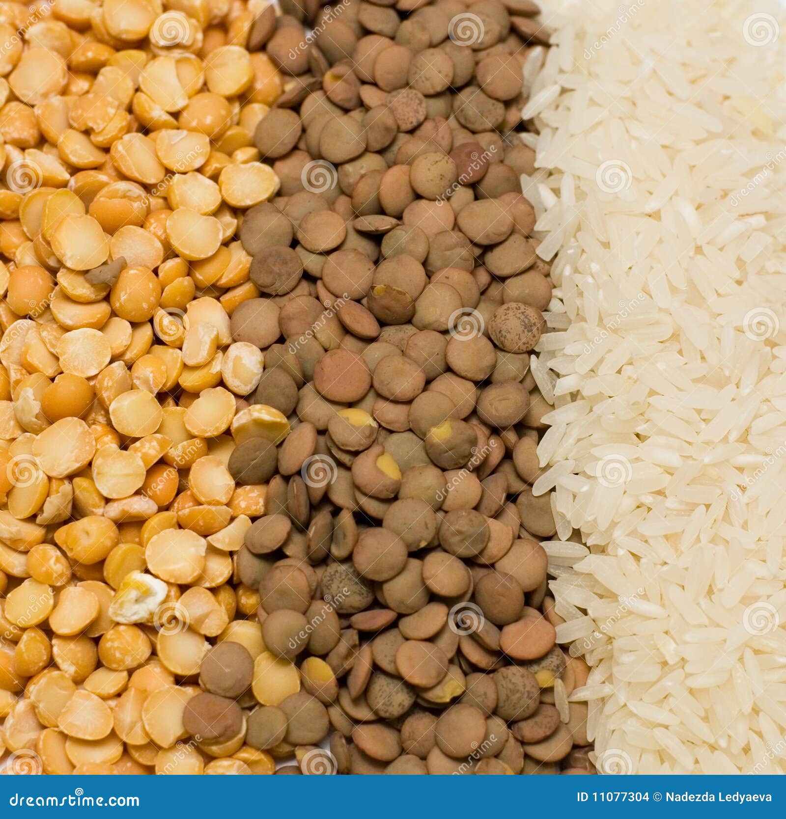 Peas, lentil, rice stock photo. Image of color, vegetarian - 11077304