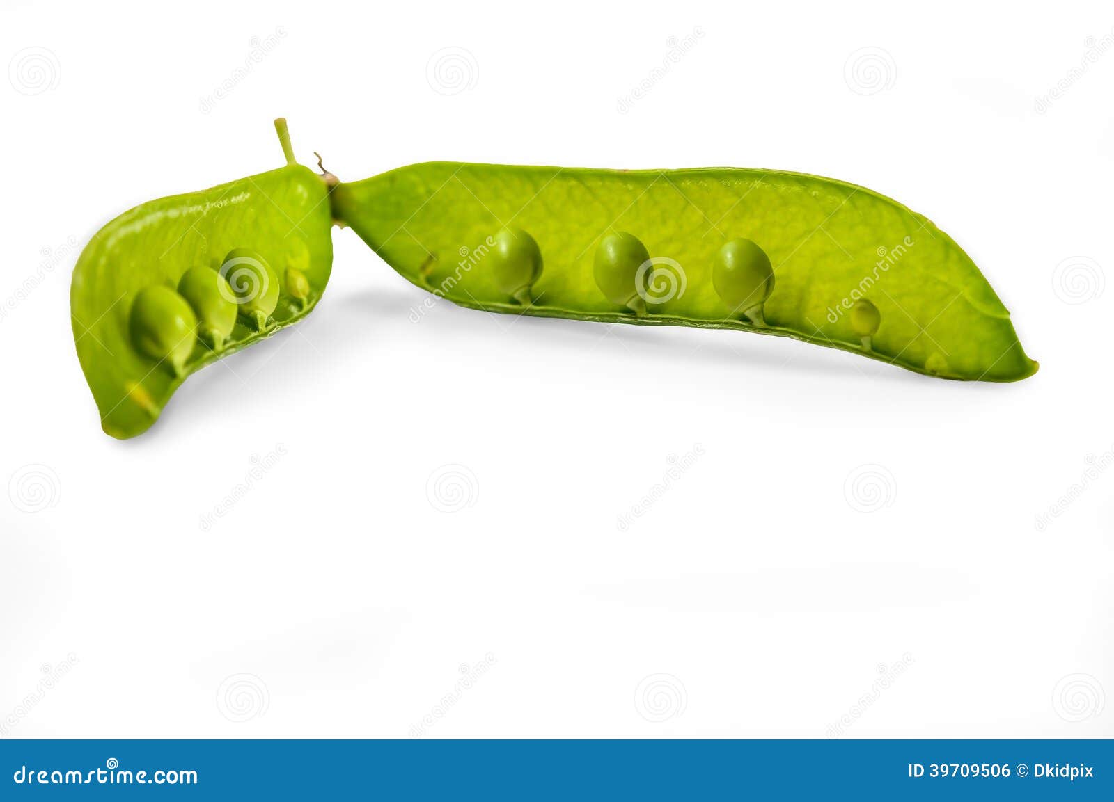 Peas stock photo. Image of curve, family, harvest, beautiful - 39709506