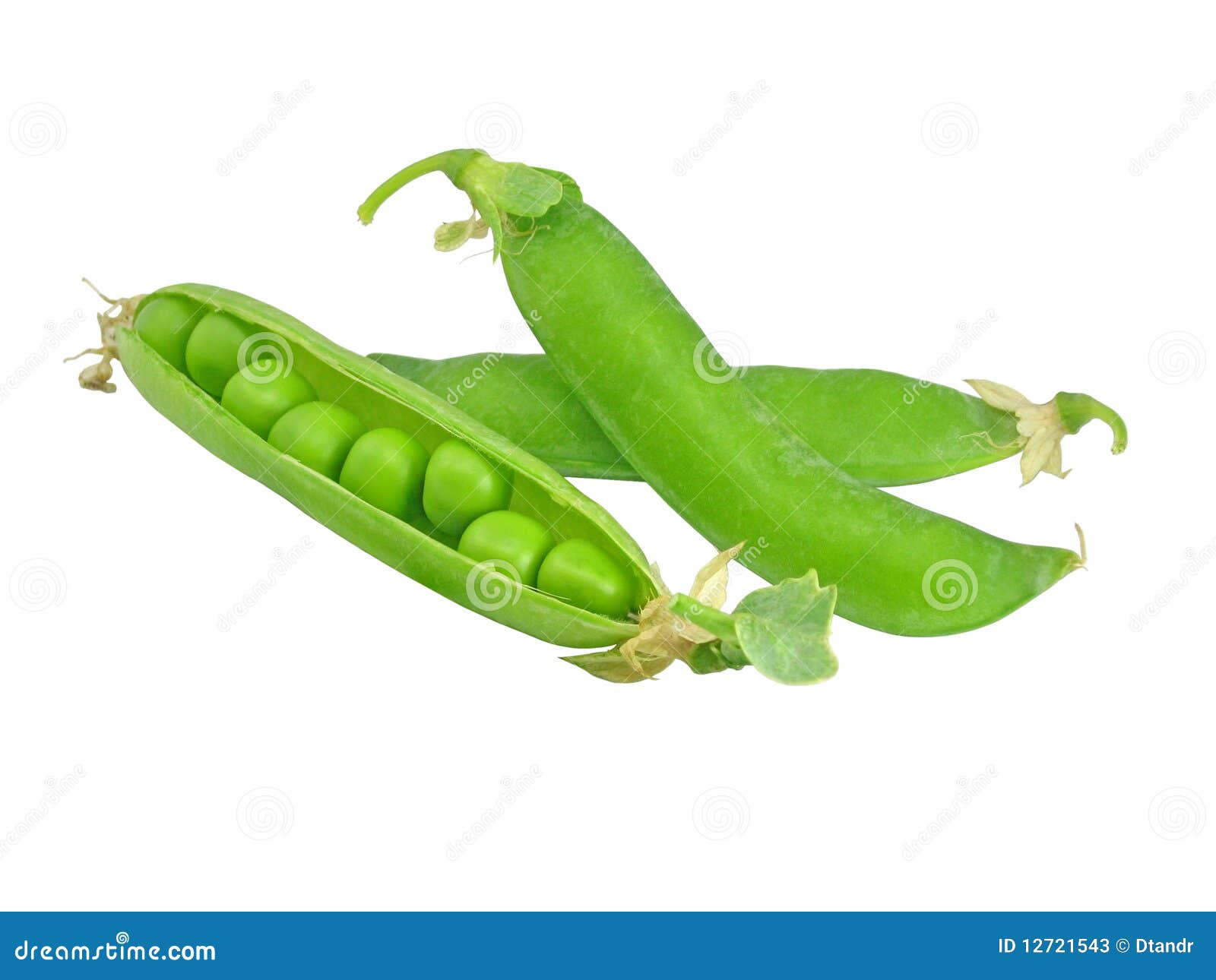 Peas in the peapods stock image. Image of healthful, food - 12721543
