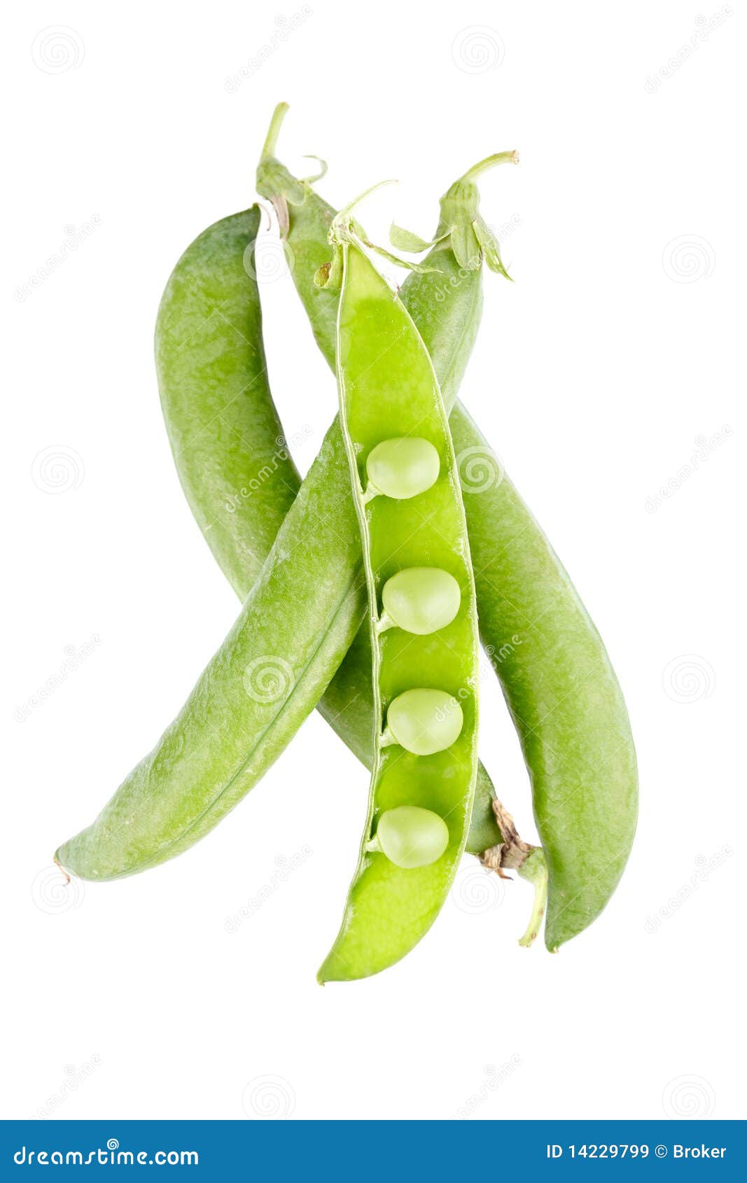 Peas with pods stock image. Image of legume, ripe, bean - 14229799