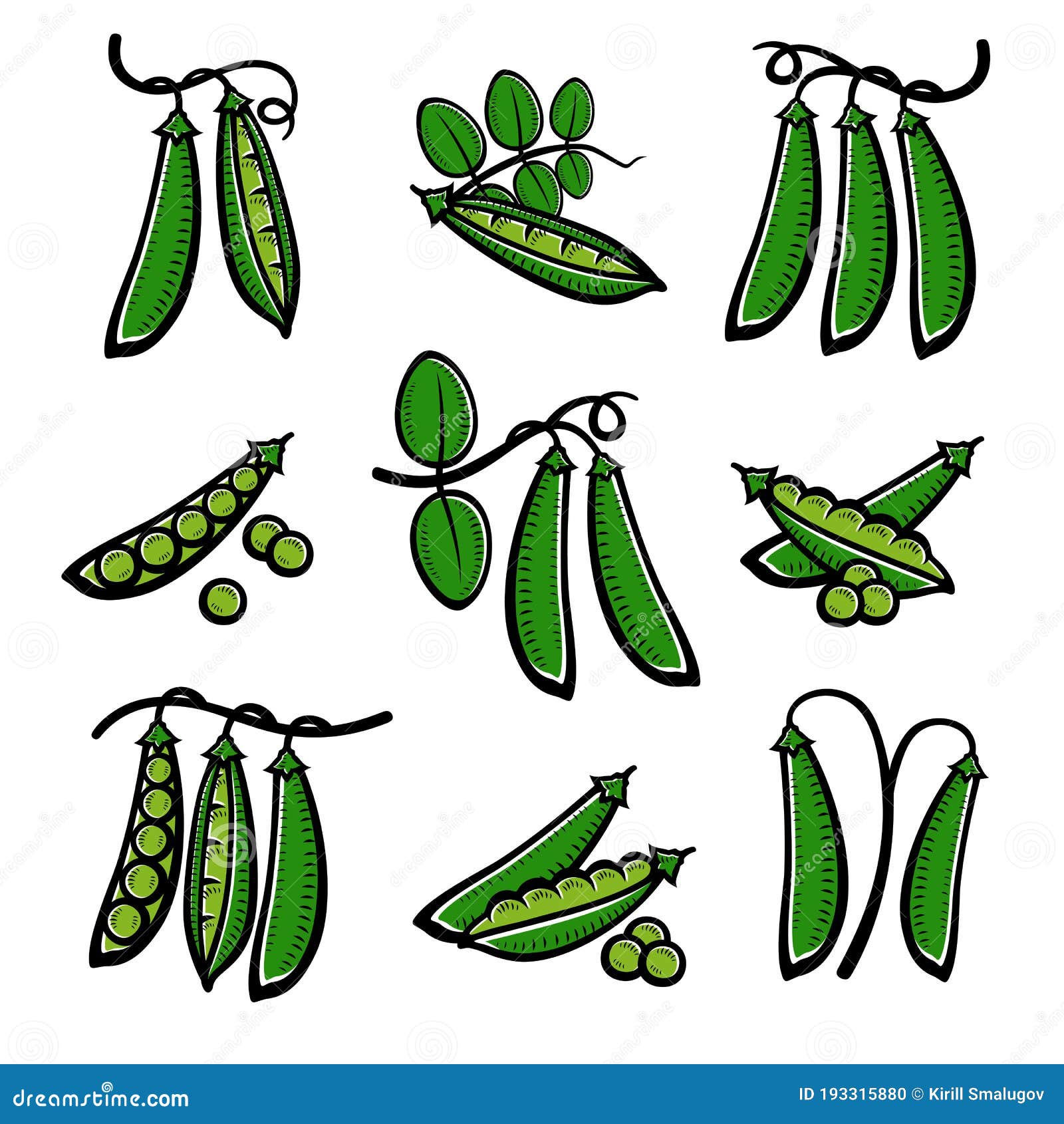 Peas Set. Collection Icon Peas Stock Vector - Illustration of curve ...