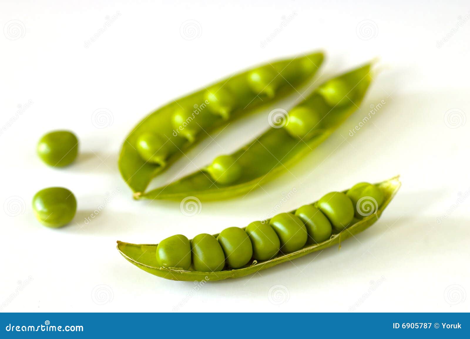 210 Fussy White Background Stock Photos - Free & Royalty-Free Stock ...