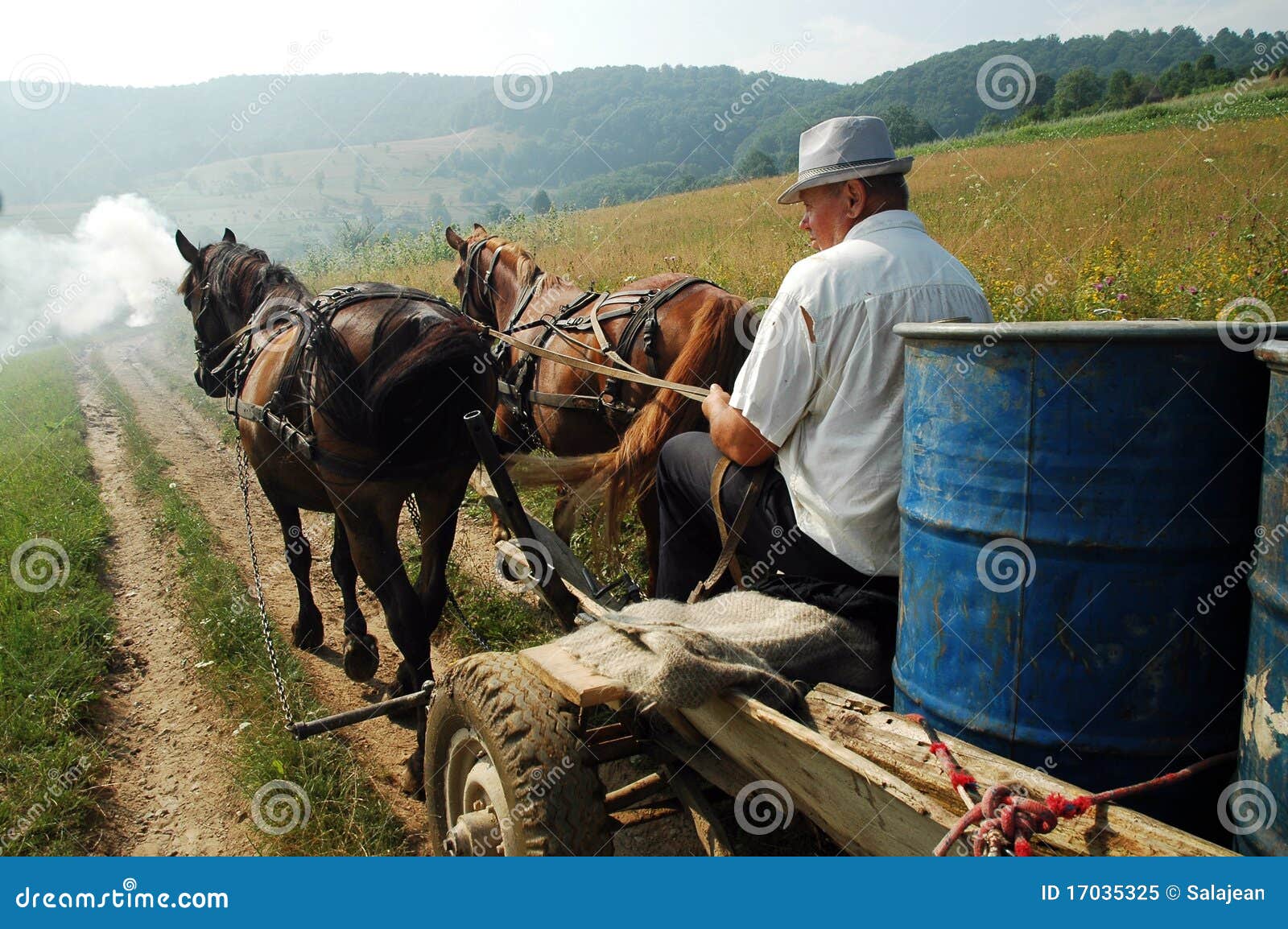 Peasant Carrying Barrels on a Horse Driven Cart Editorial Image - Image ...