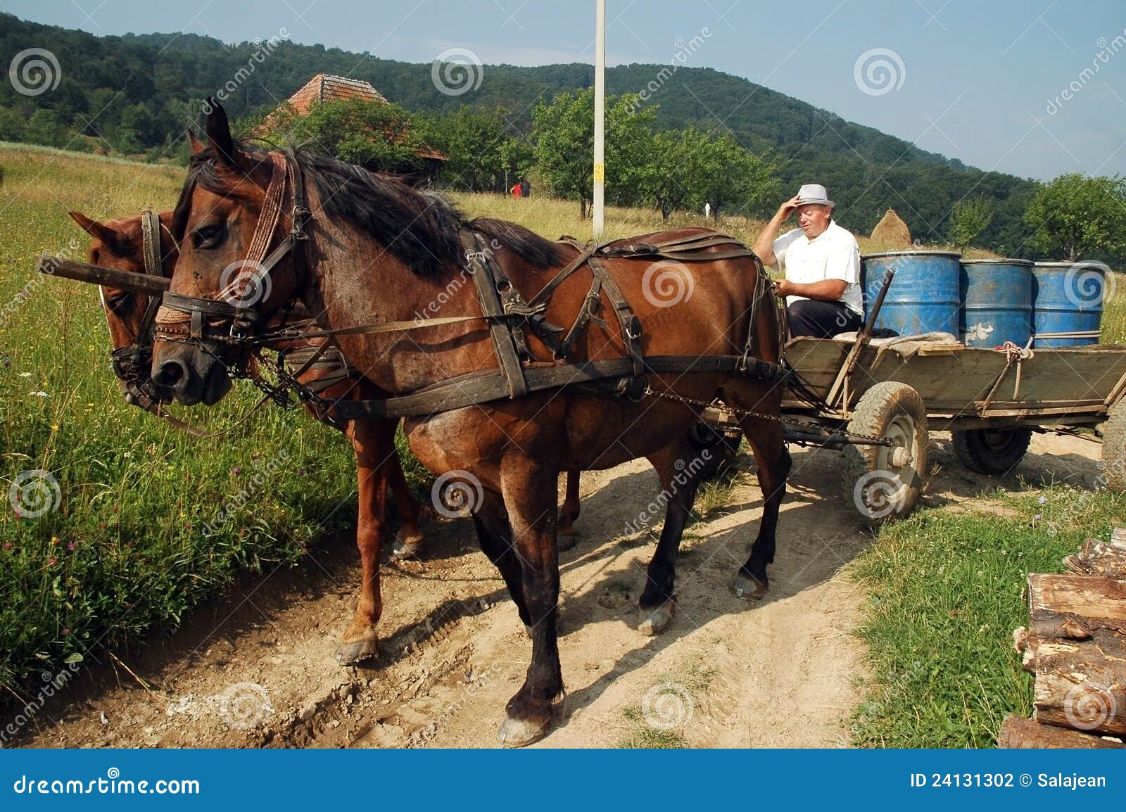 Peasant Carrying Barrels on a Horse Driven Cart Editorial Photography ...