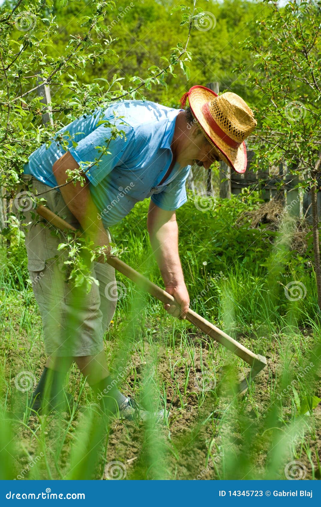 Peasant Digging in the Garden Stock Image - Image of gardening, grass ...