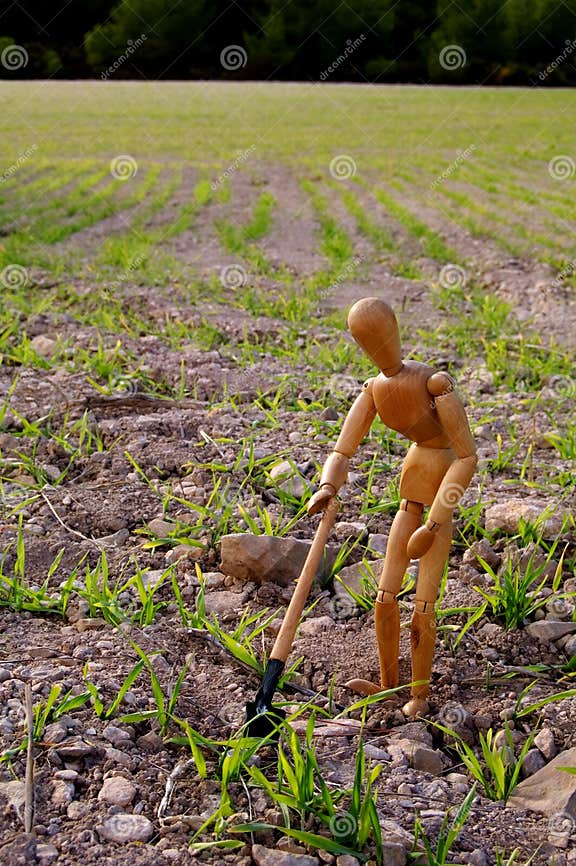 Peasant in a Field with Shovel Stock Image - Image of produce, figure ...