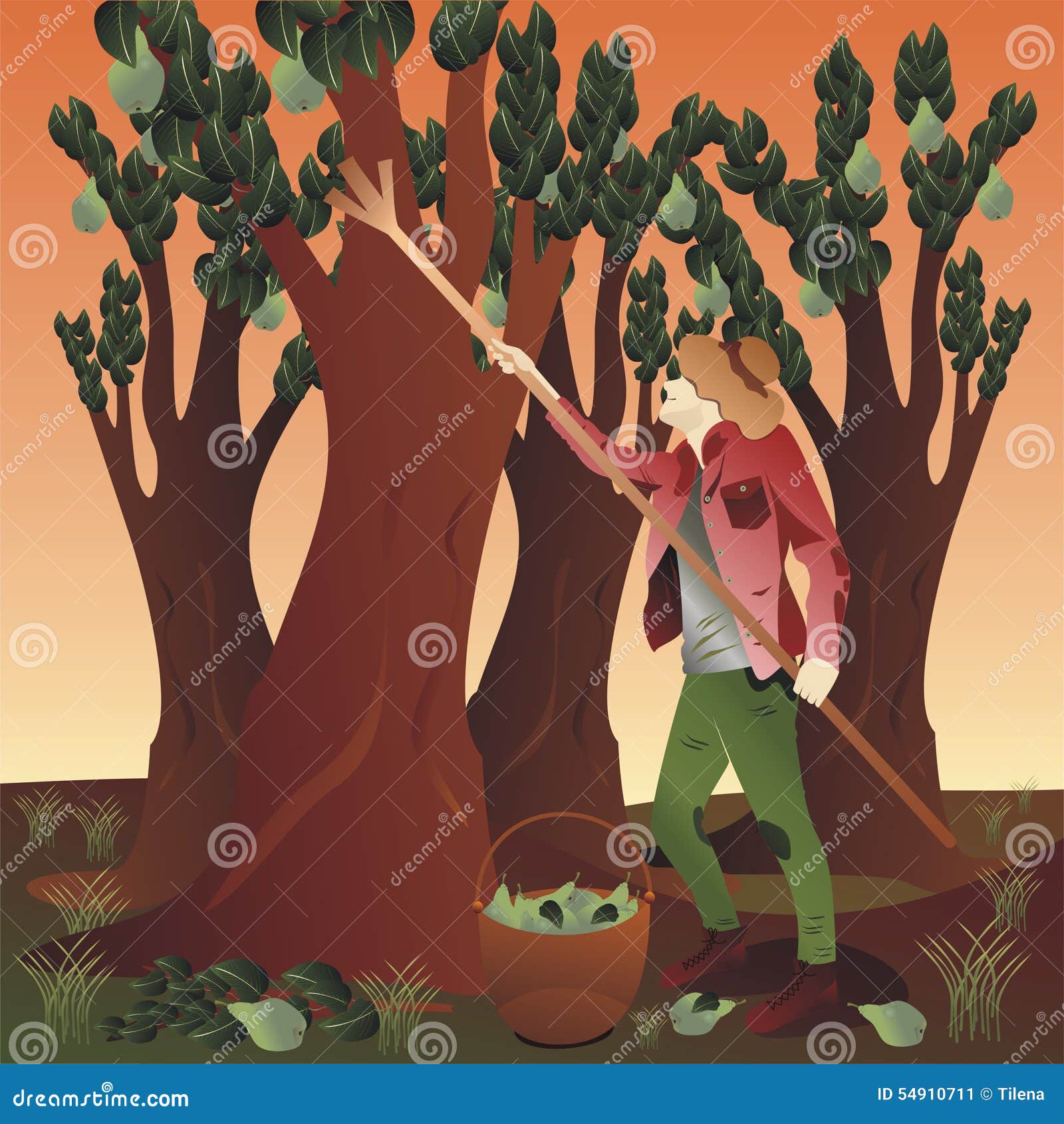 Peasant Harvesting Pears Cartoon Vector | CartoonDealer.com #54910711