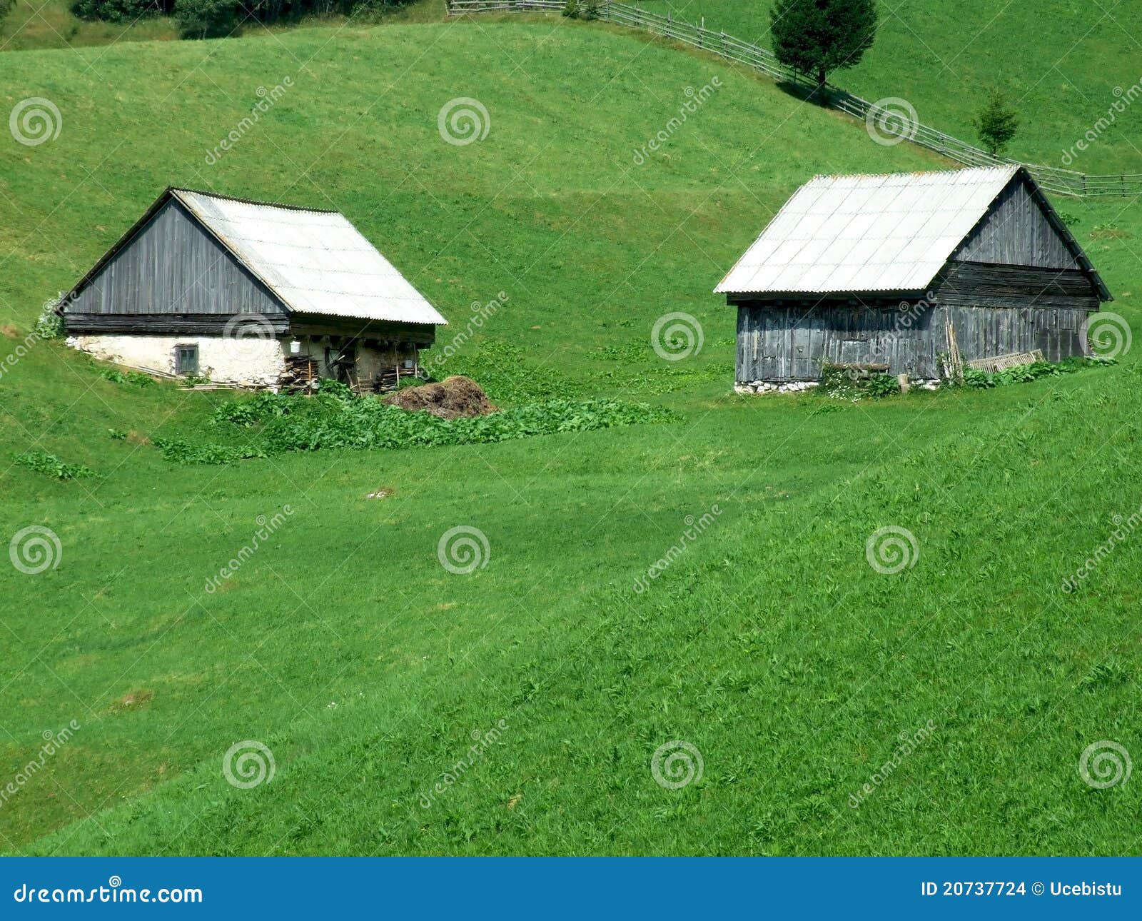 Peasant house stock photo. Image of house, green, trees - 20737724