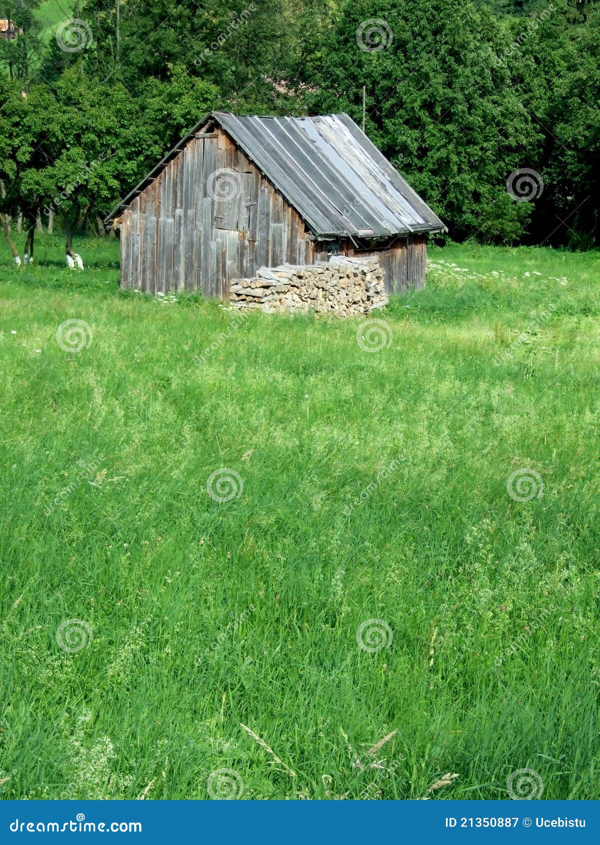 Peasant house stock image. Image of field, romania, peasant - 21350887