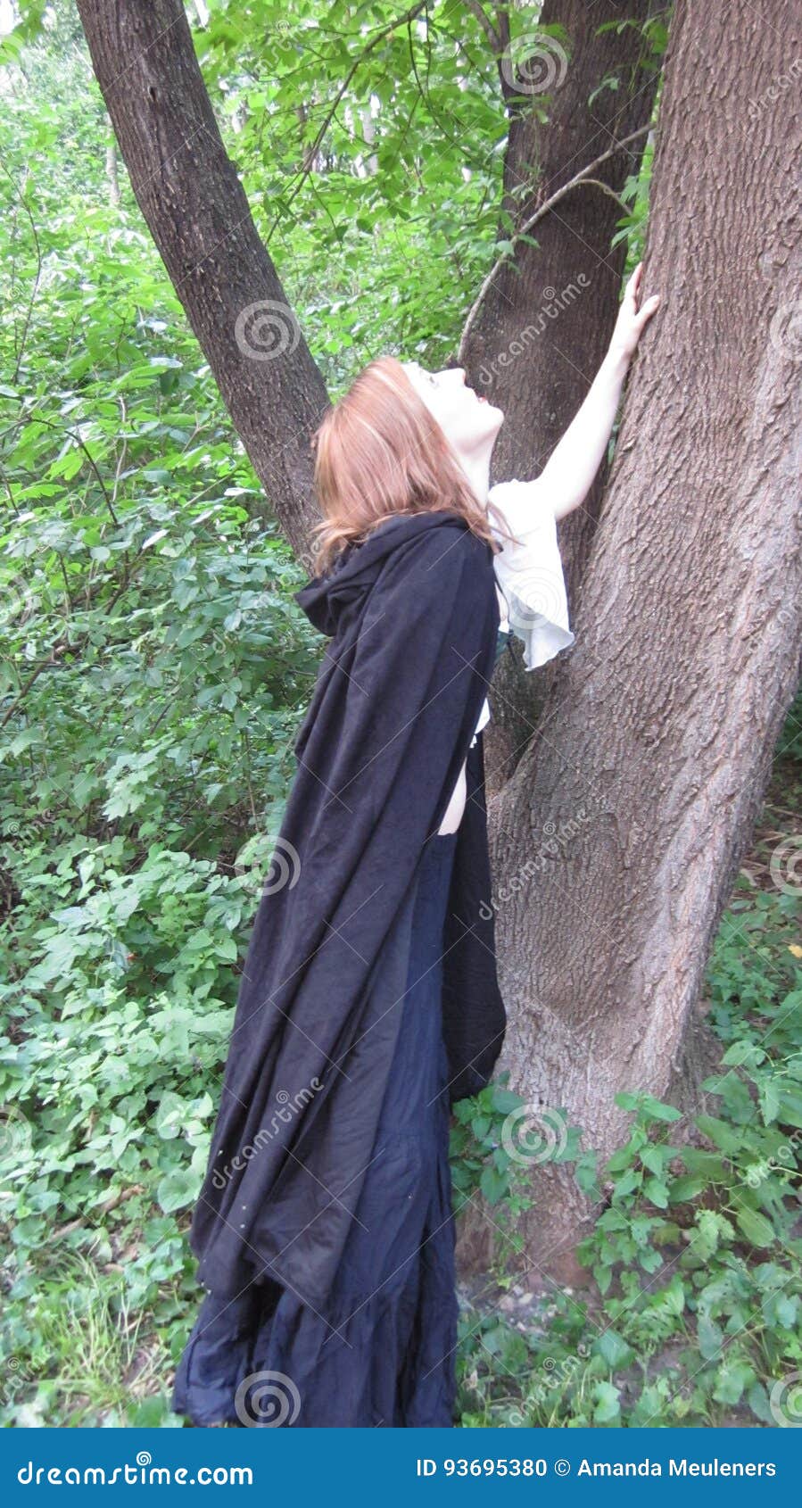 Peasant looking up a tree stock photo. Image of sunrise - 93695380