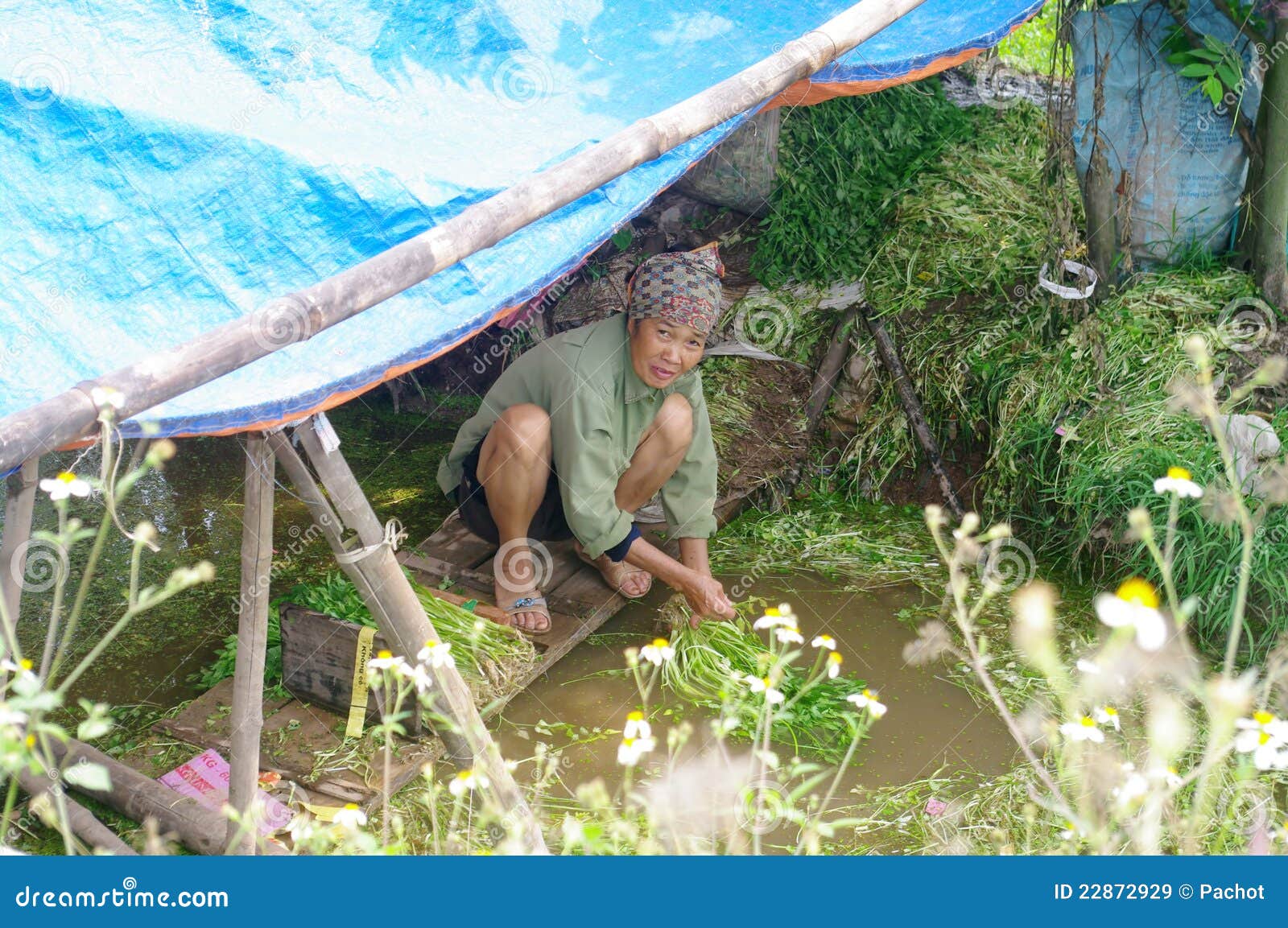 Peasant Woman Washing Vegetables Editorial Stock Image - Image of ...