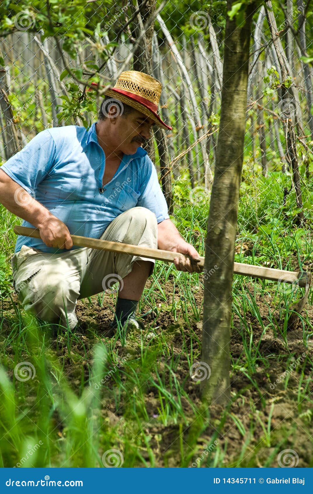 Peasant Working His Ground with Onion Stock Image - Image of ...