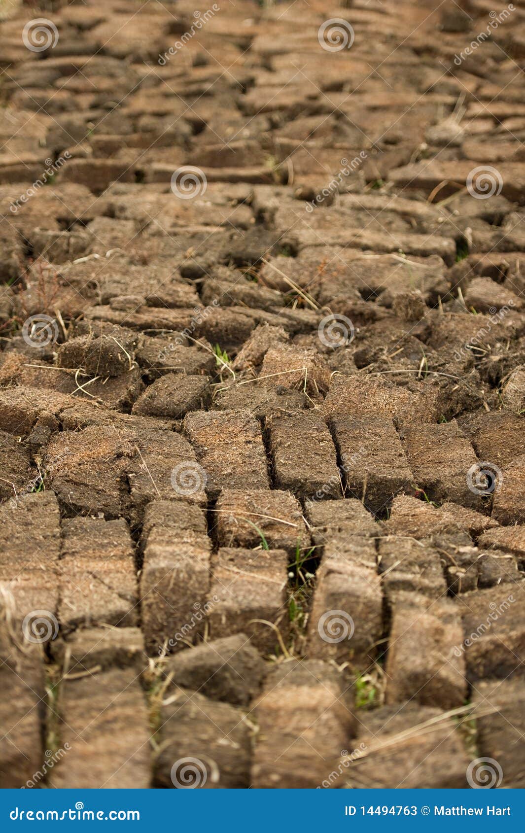 Peat stock image. Image of rows, fuel, copy, blocks, green - 14494763