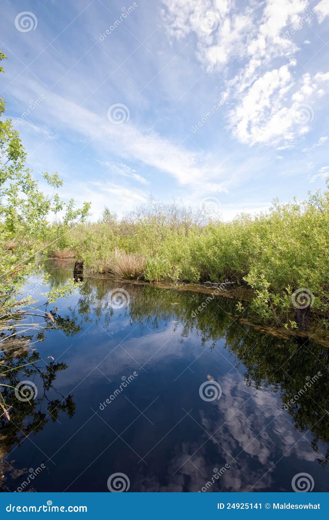 Peat bog stock image. Image of peatery, moor, moorland - 24925141