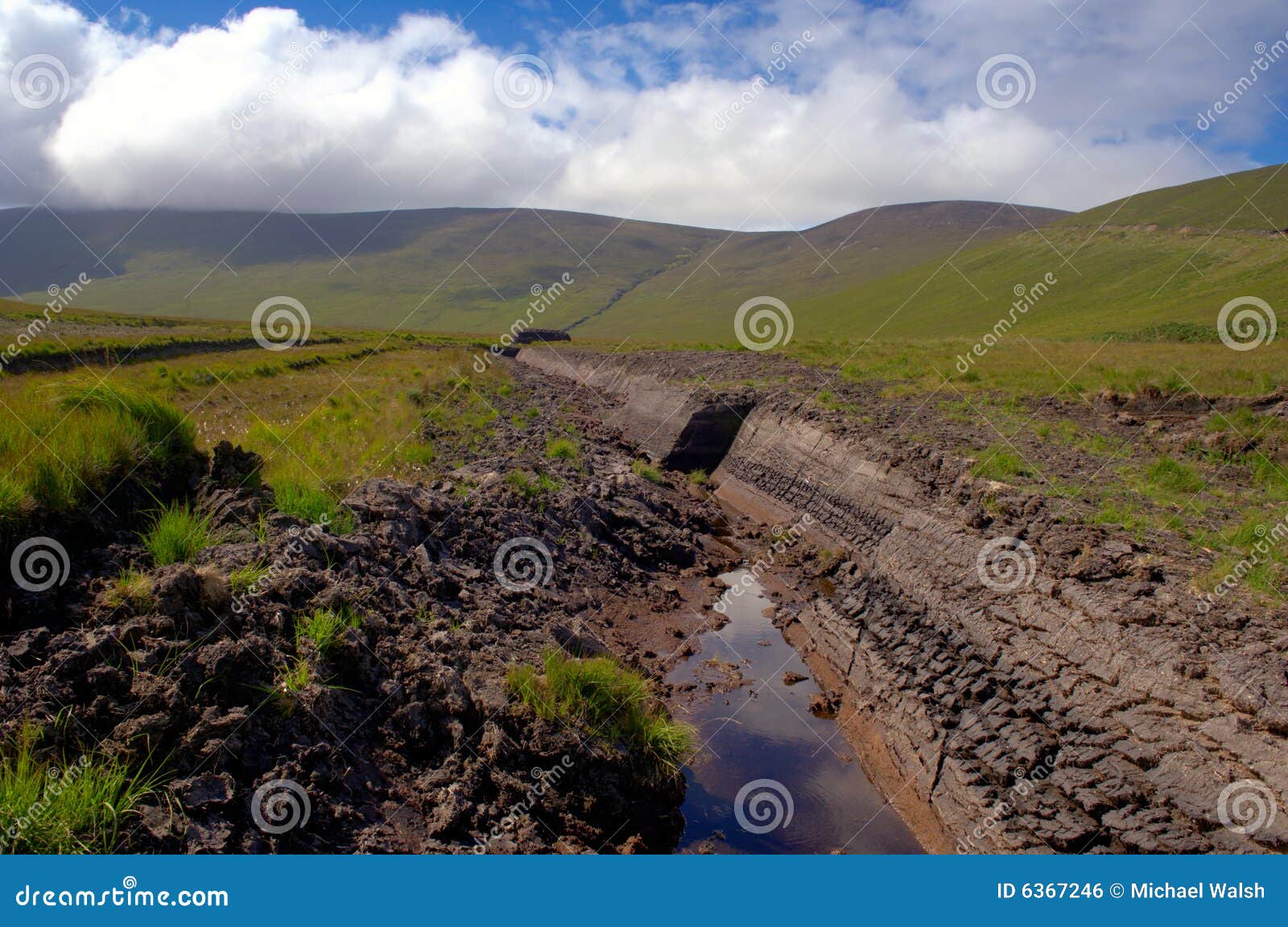 Peat Bog stock photo. Image of outdoors, swamp, plant - 6367246
