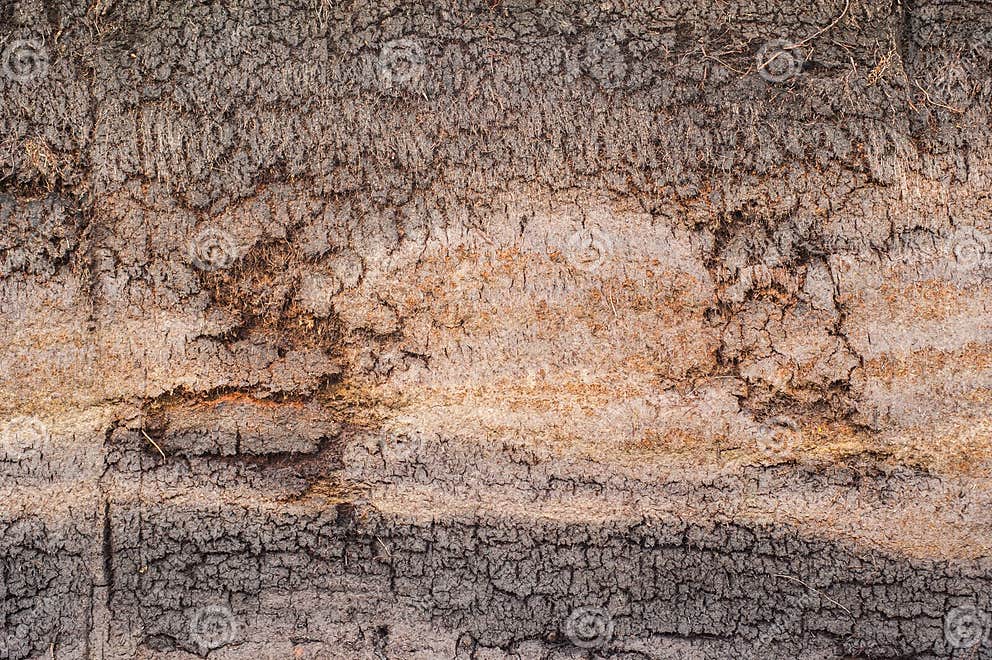 Peat Bog Earth Background Texture Stock Photo - Image of mountain, peat ...