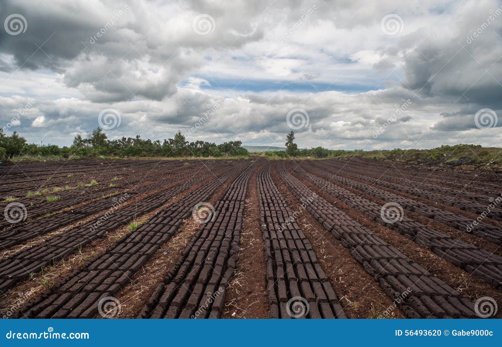 Peat bog landscape stock photo. Image of ireland, fuels - 56493620