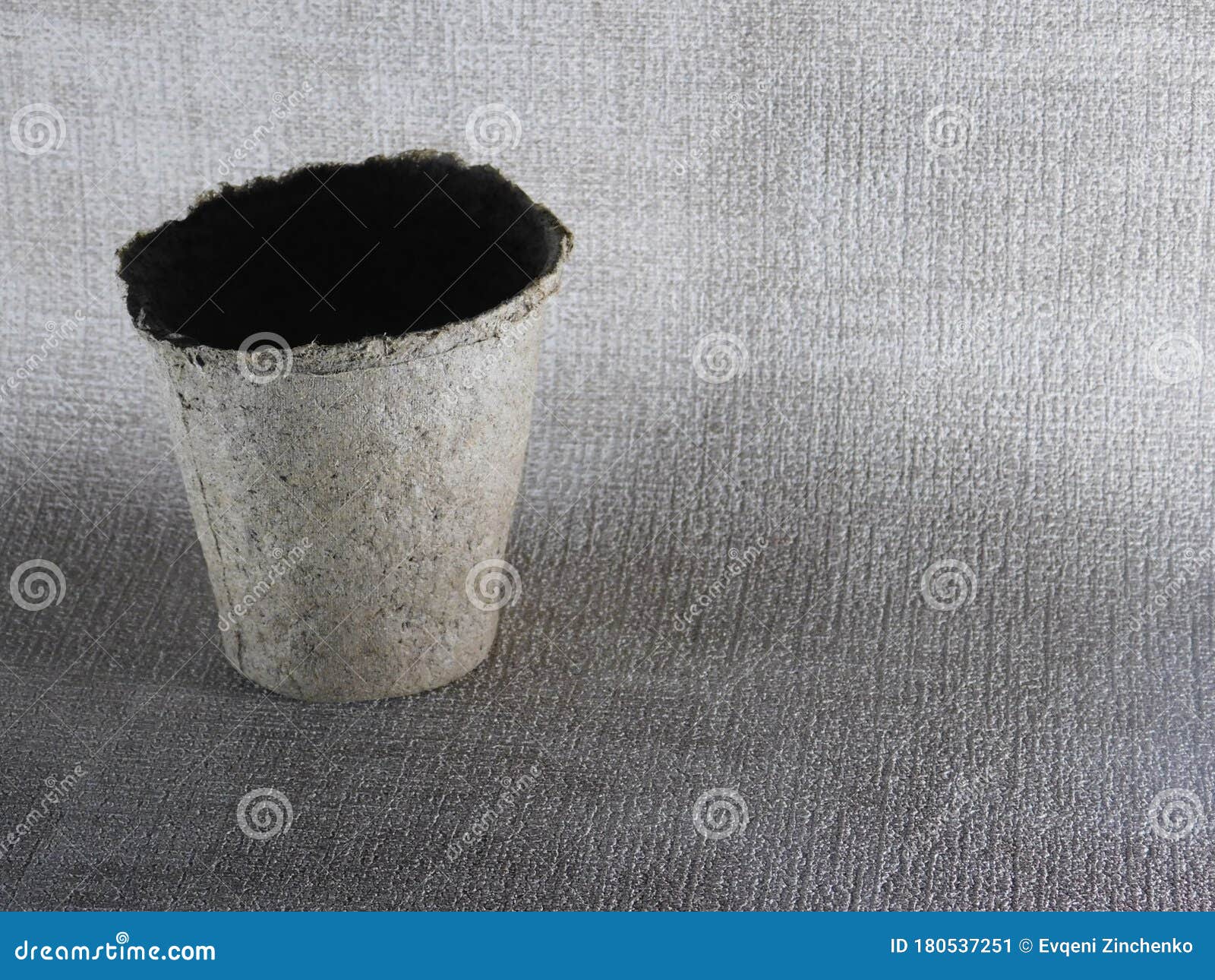 Peat cups stock image. Image of abstract, flowers, berries - 180537251