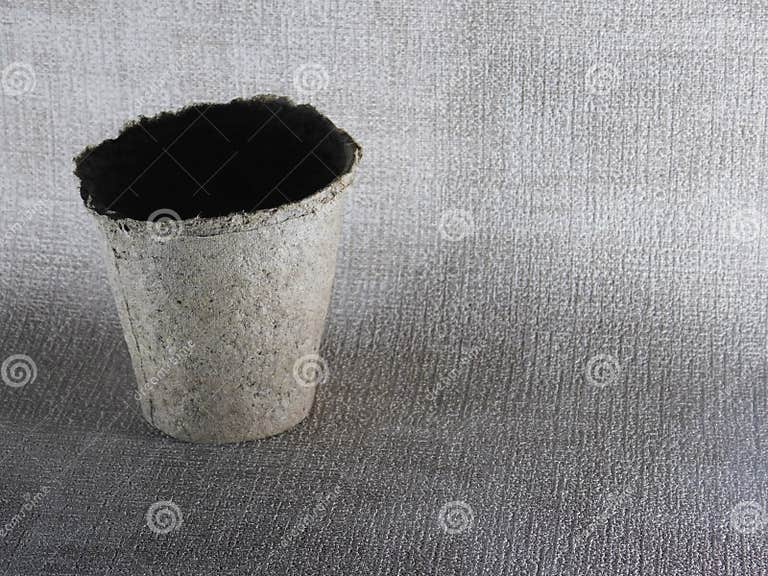 Peat cups stock image. Image of abstract, flowers, berries - 180537251