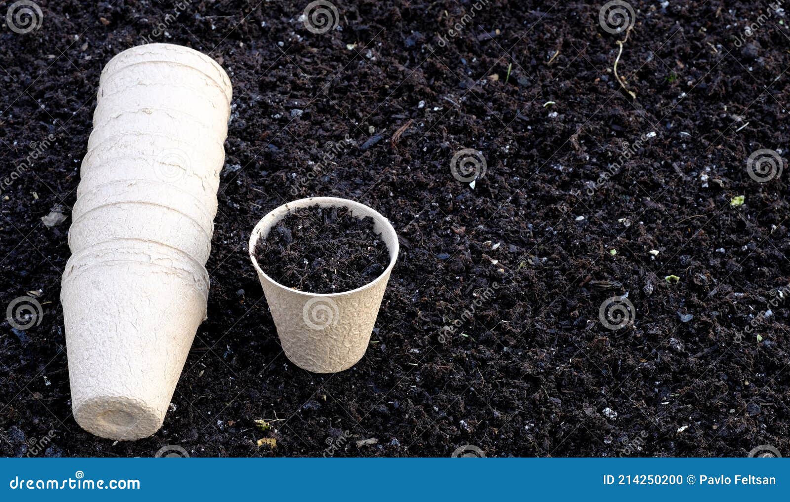 Peat Cups for Seedlings. Plants Lie on the Ground Stock Photo - Image ...