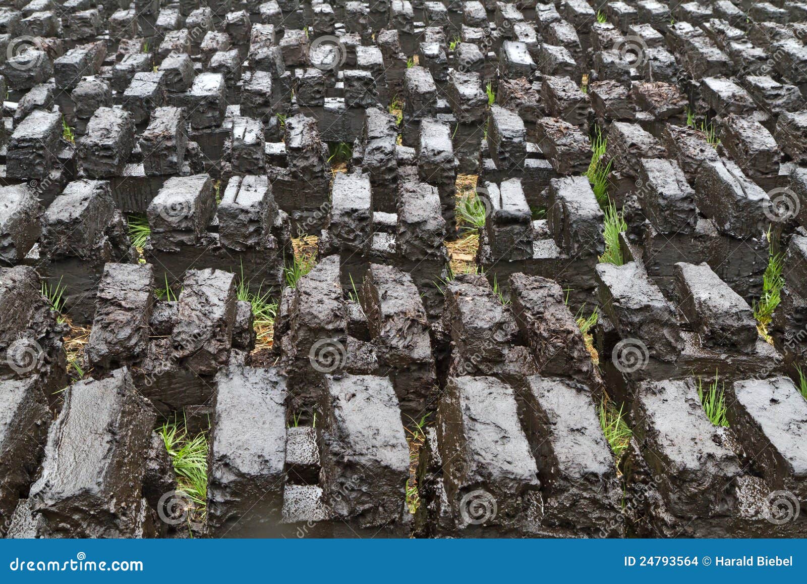 Peat Digging in an Upland Moor Stock Photo - Image of dirt, growth ...