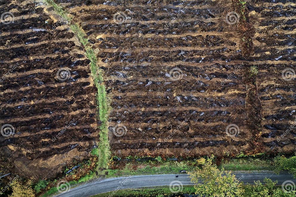 Peat Extraction Causing Environmental Destruction To the Forest Stock ...