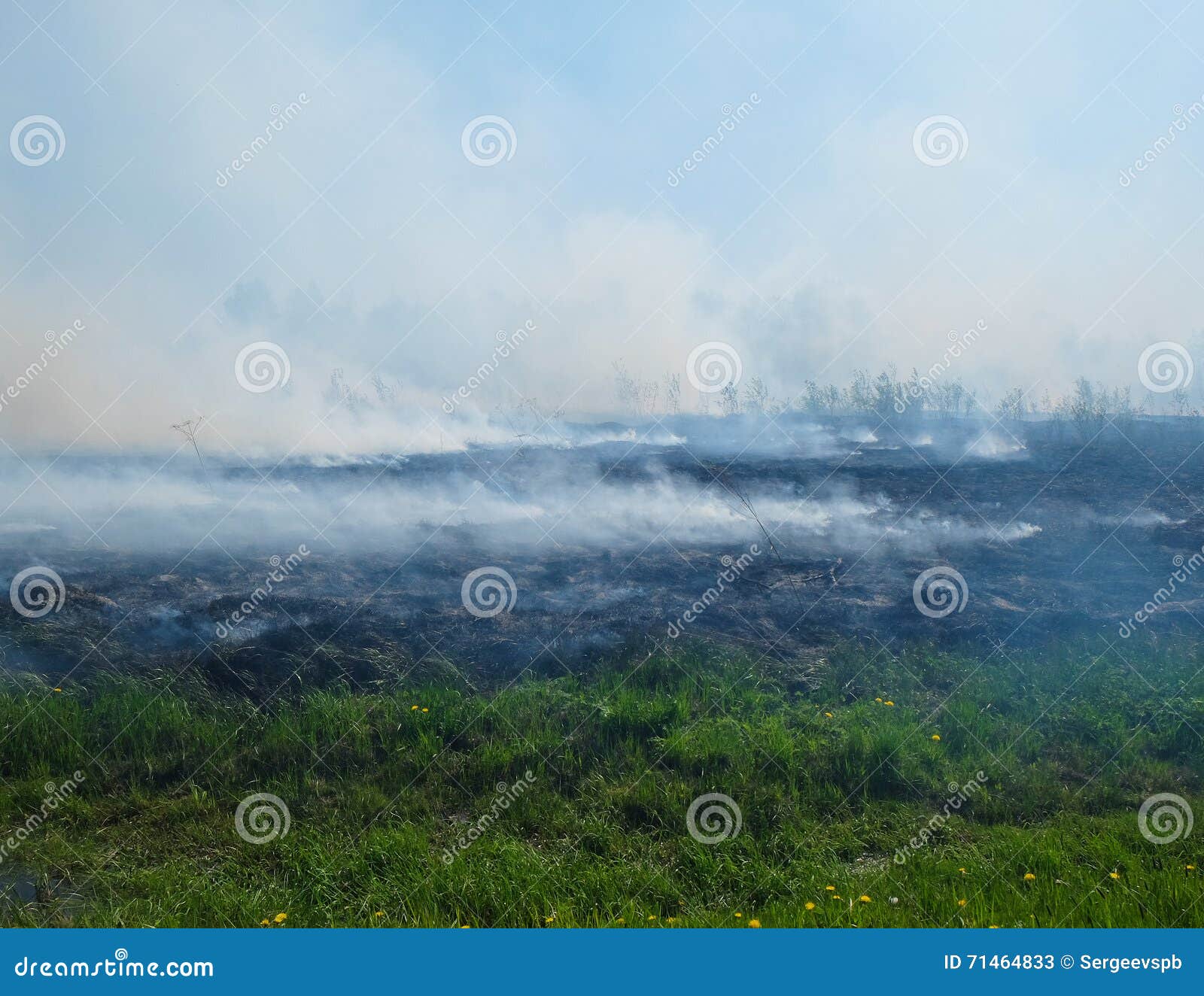 A peat fire stock image. Image of field, natural, disaster - 71464833